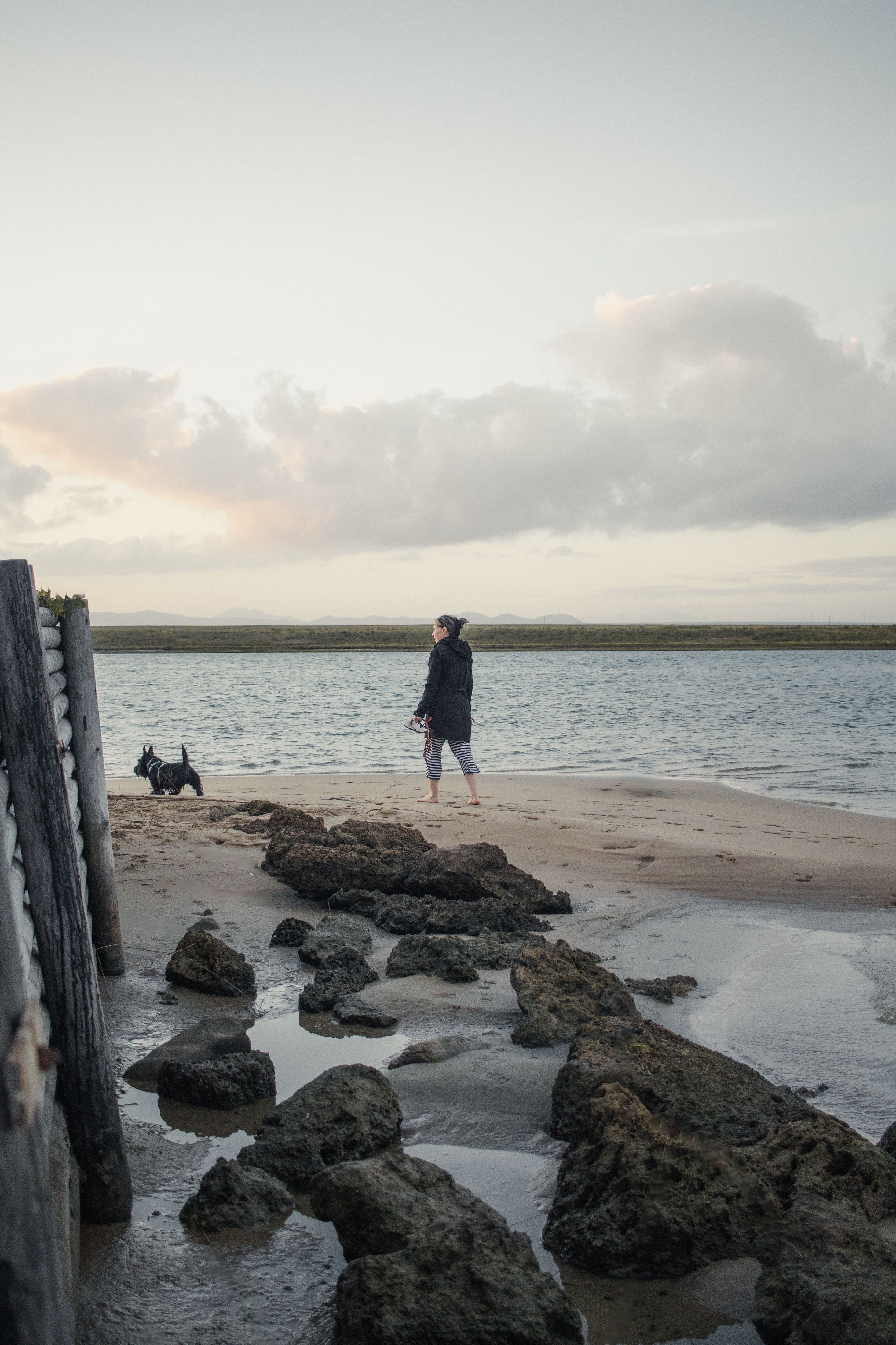 Woman with Dogs Walking on Sand Beach · Free Stock Photo