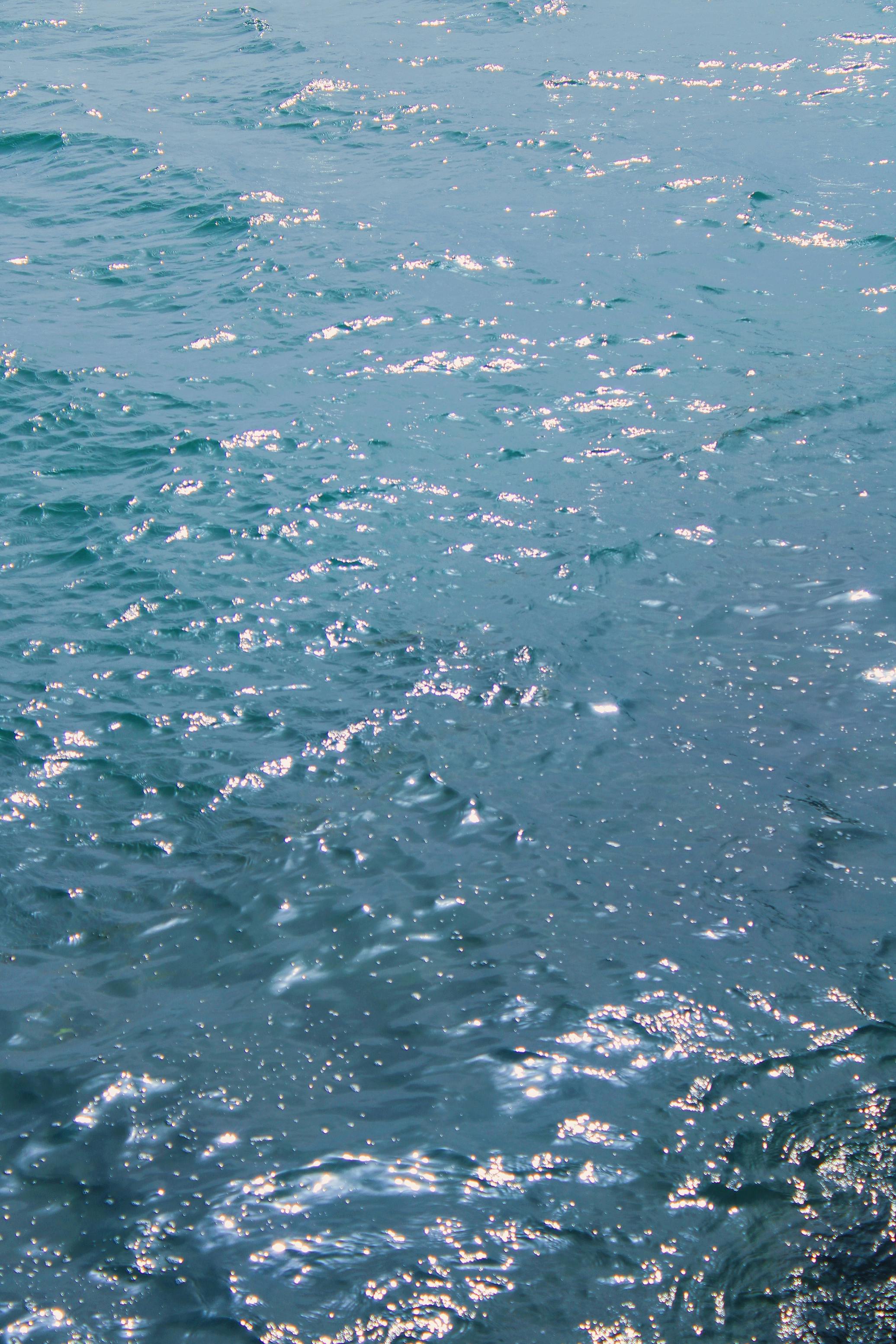 Sunlight on the Water Surface · Free Stock Photo