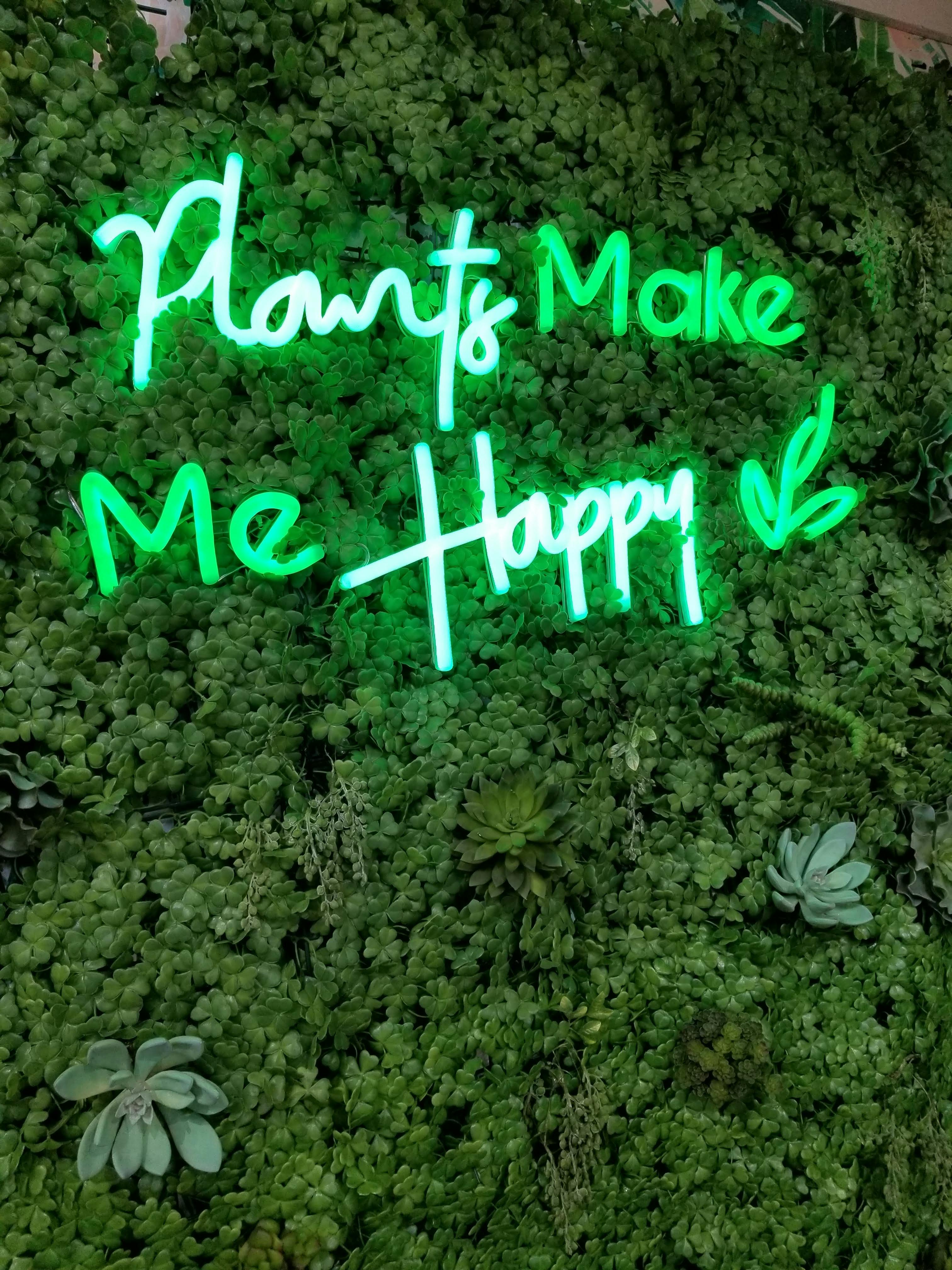 Neon Letters Sign in a Plant Wall · Free Stock Photo