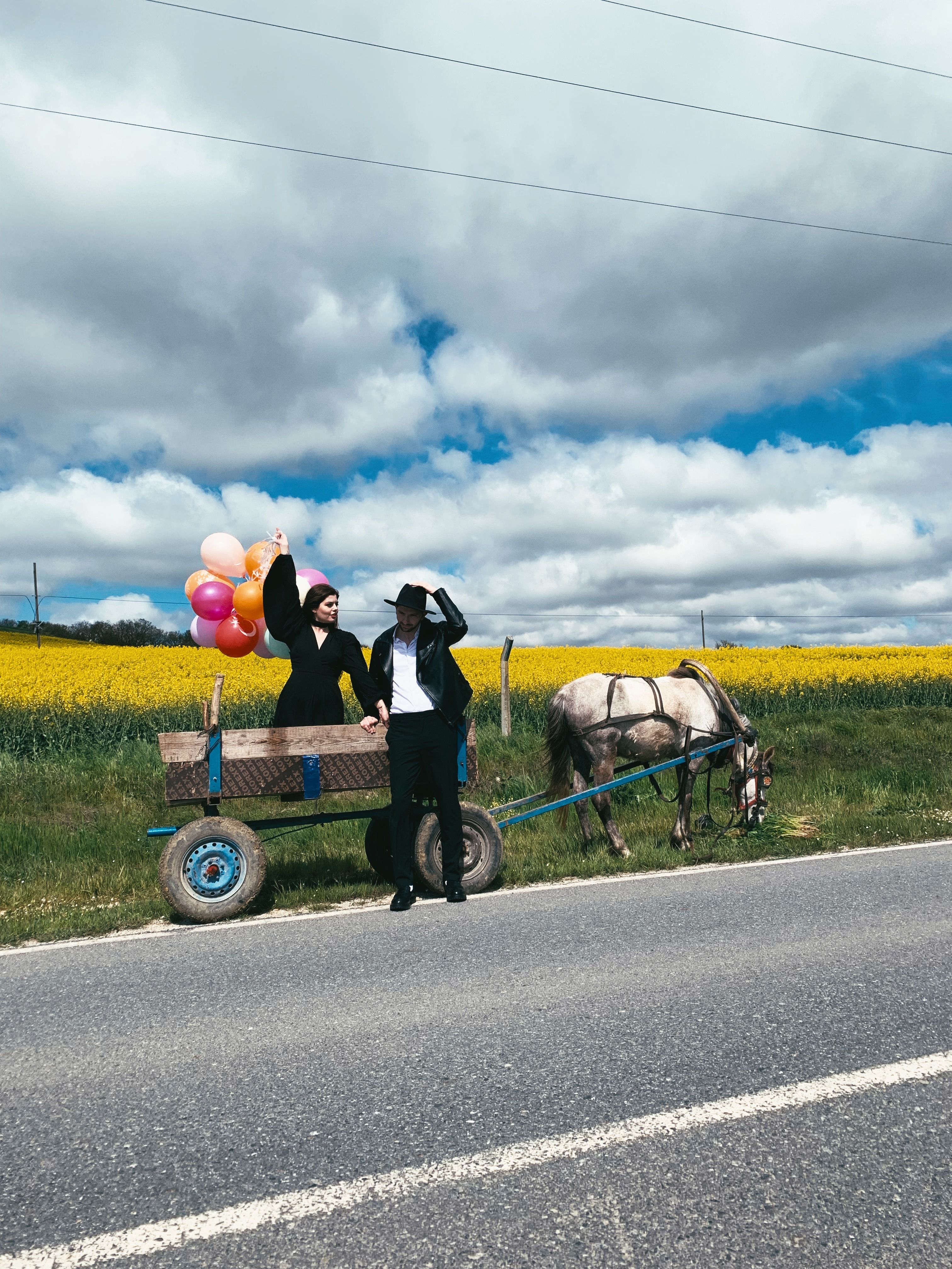 Animated Cart Photos, Download The BEST Free Animated Cart Stock Photos ...
