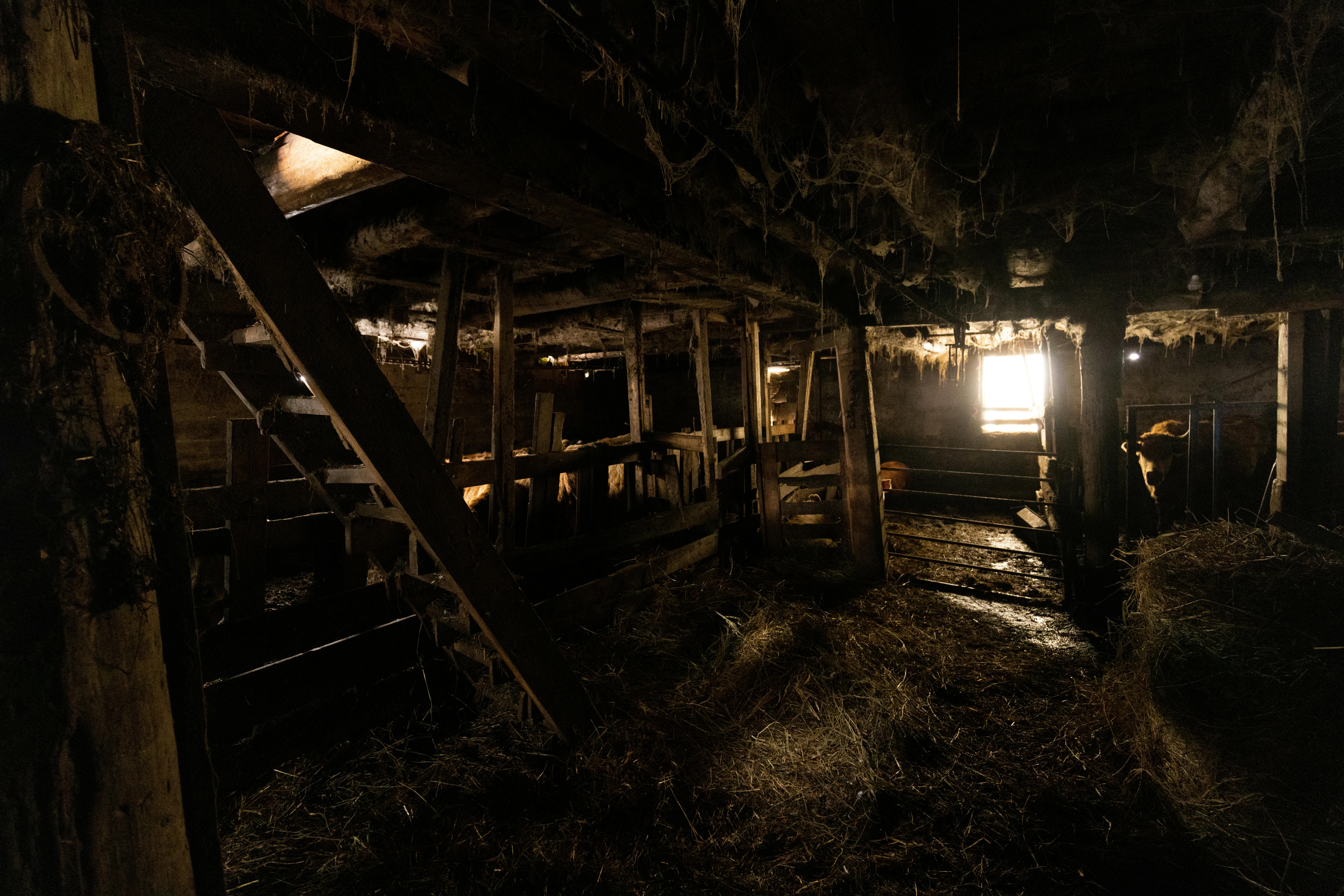 Interior of an Abandoned Barn · Free Stock Photo