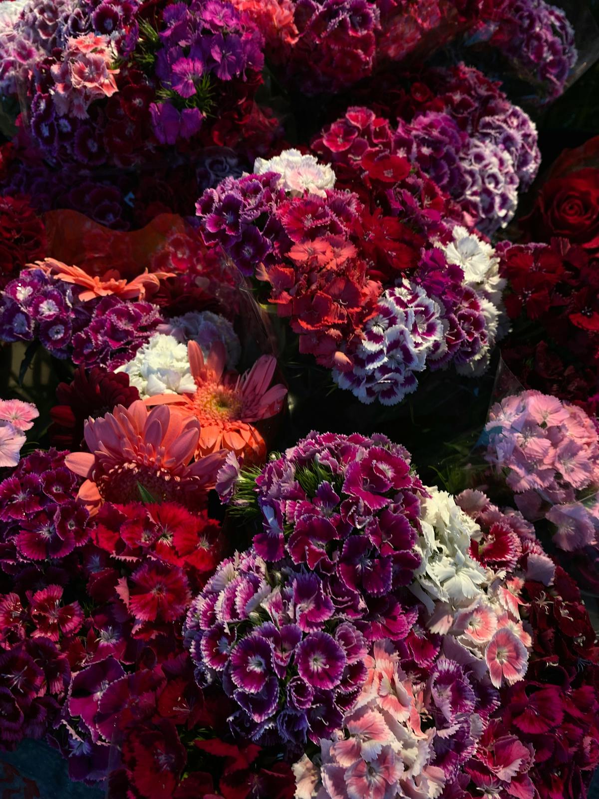 Flower Market Photos, Download The BEST Free Flower Market Stock Photos ...