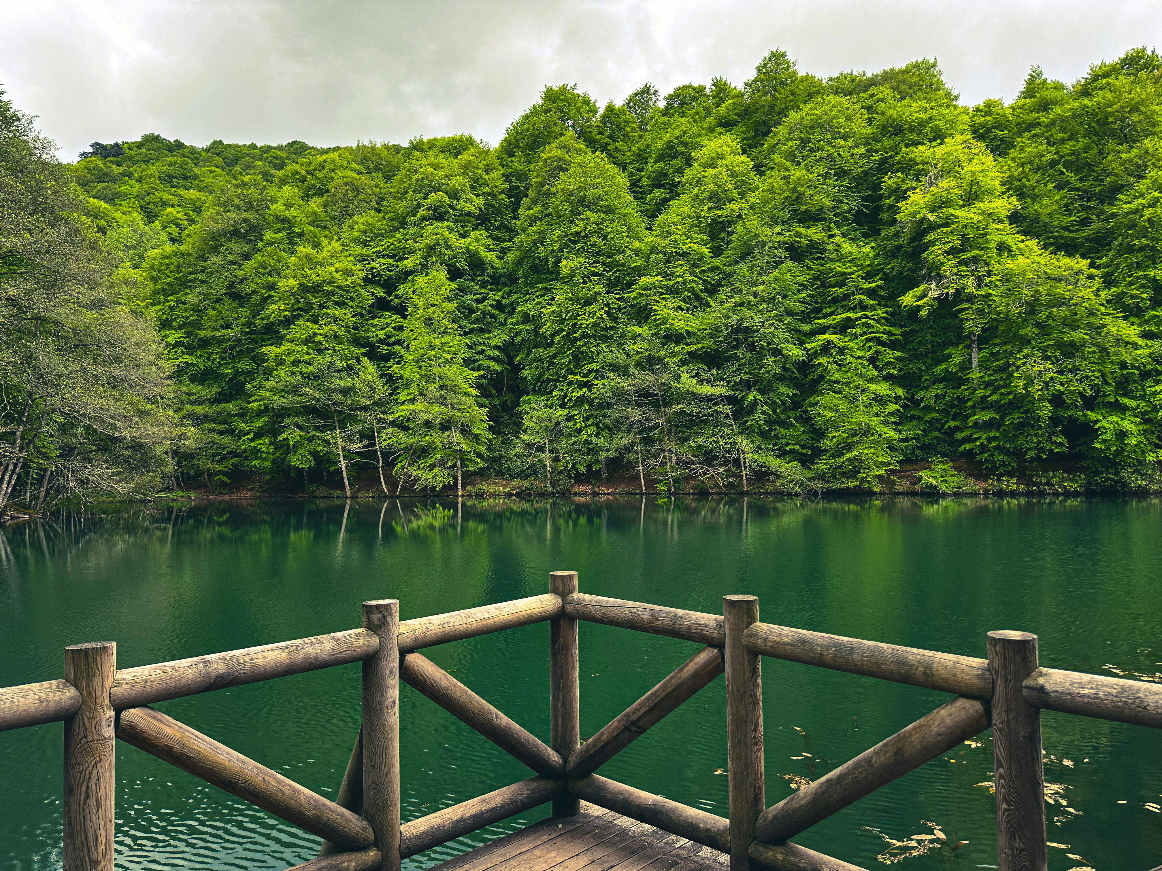 Sight Point Photos, Download The BEST Free Sight Point Stock Photos ...