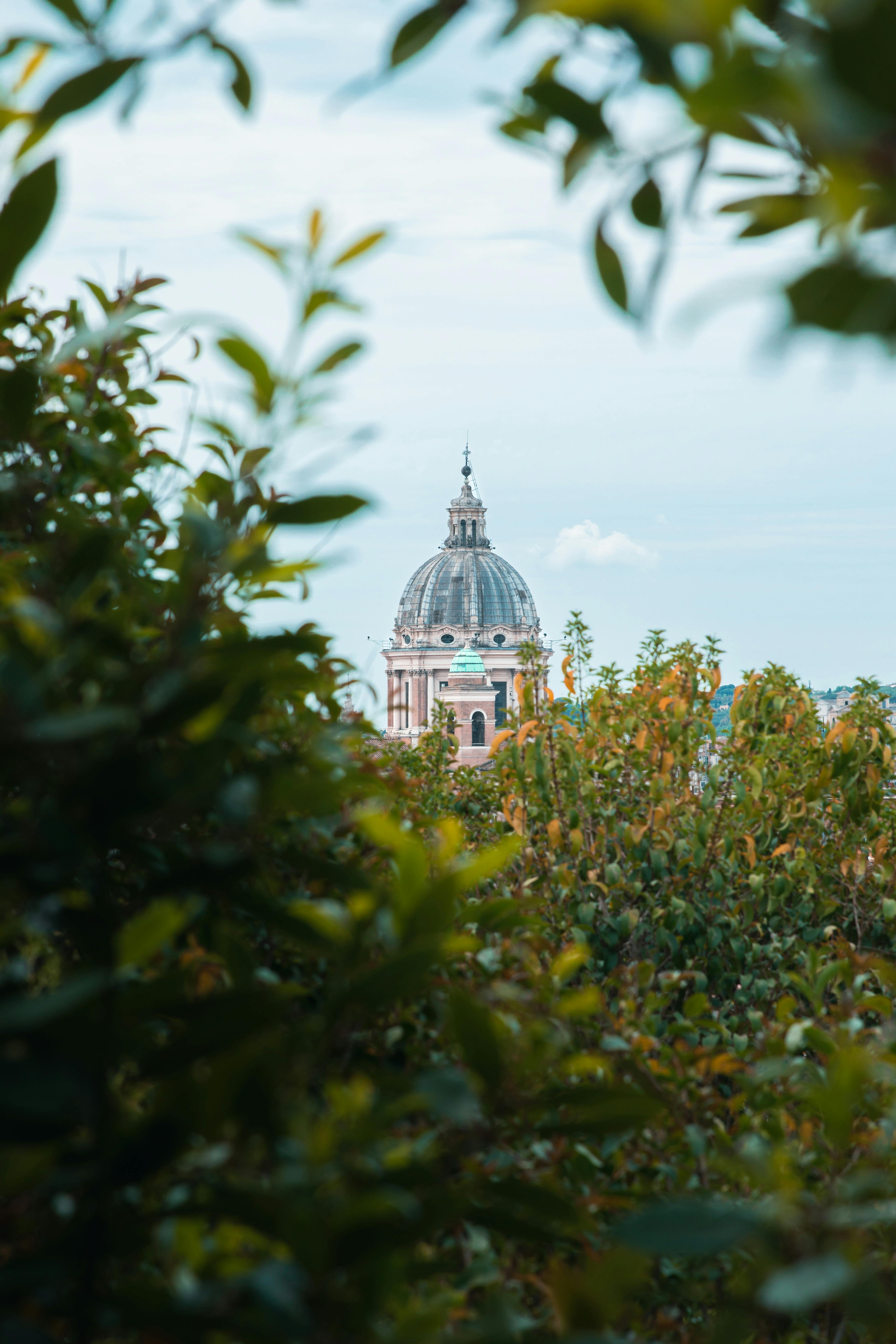 A view of a church from behind trees · Free Stock Photo
