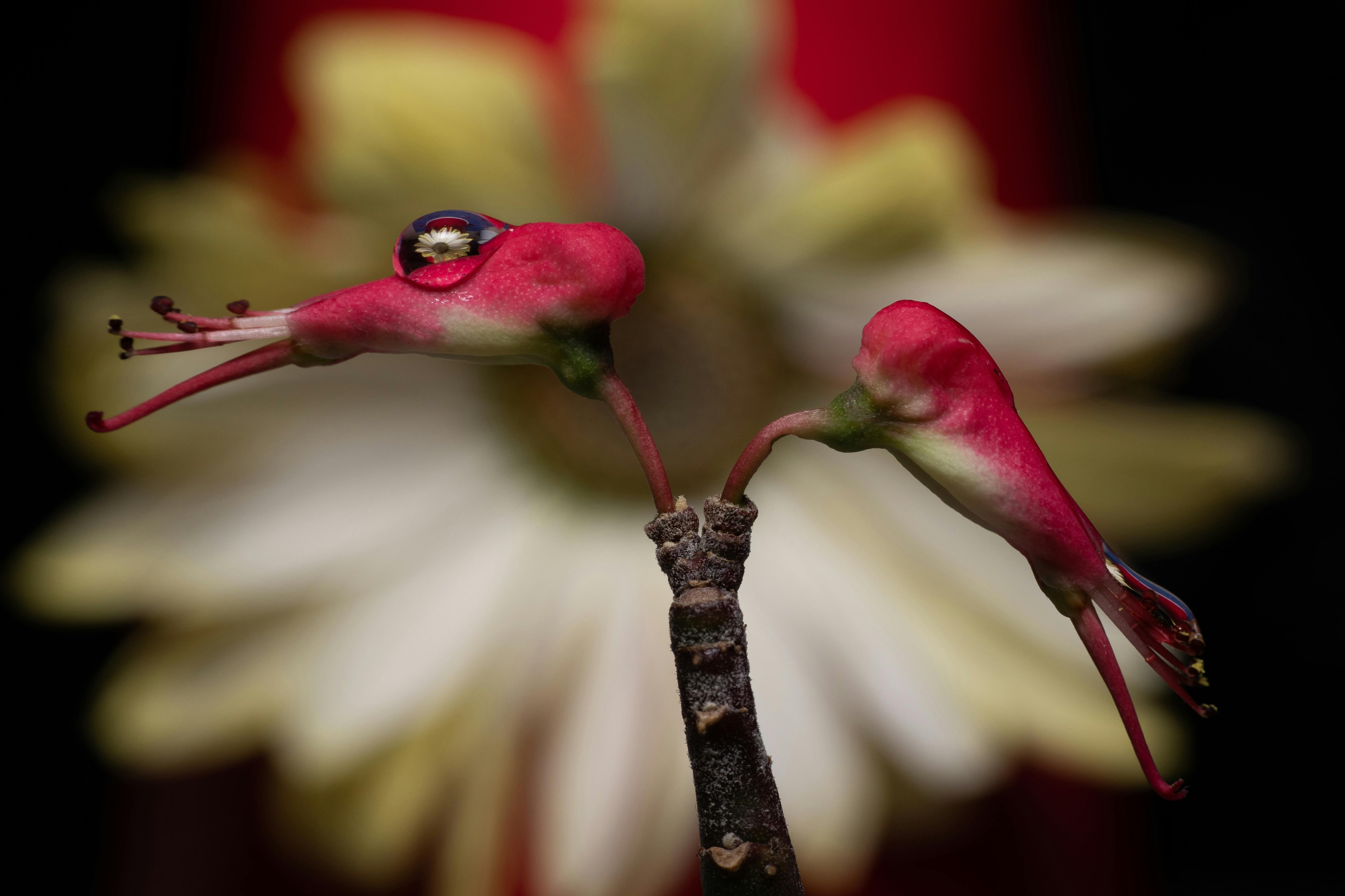 Toxic Chemicals Cartoons Photos, Download The BEST Free Toxic Chemicals ...