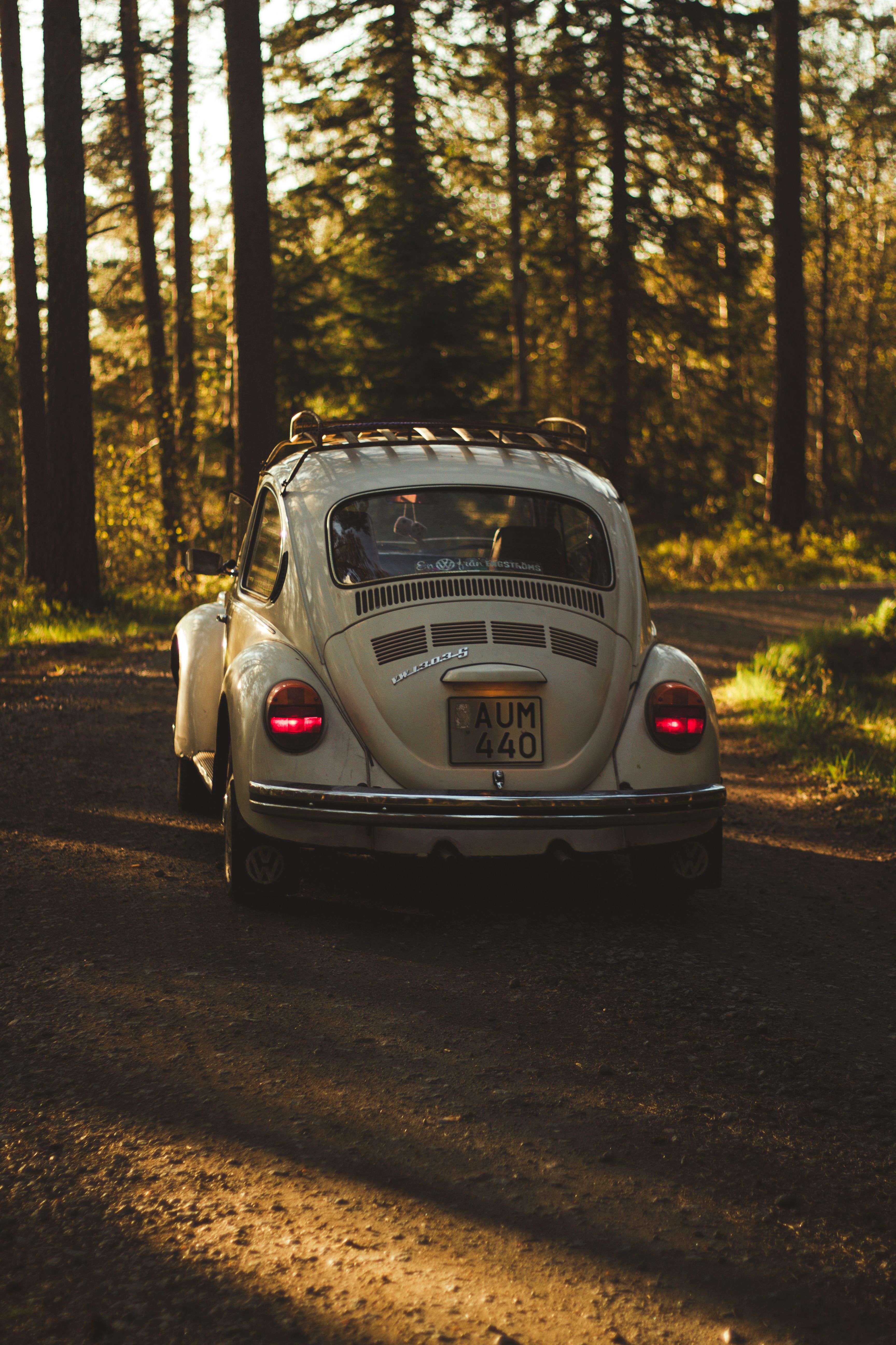 Vintage Volkswagen Beetle in the Forest Road · Free Stock Photo