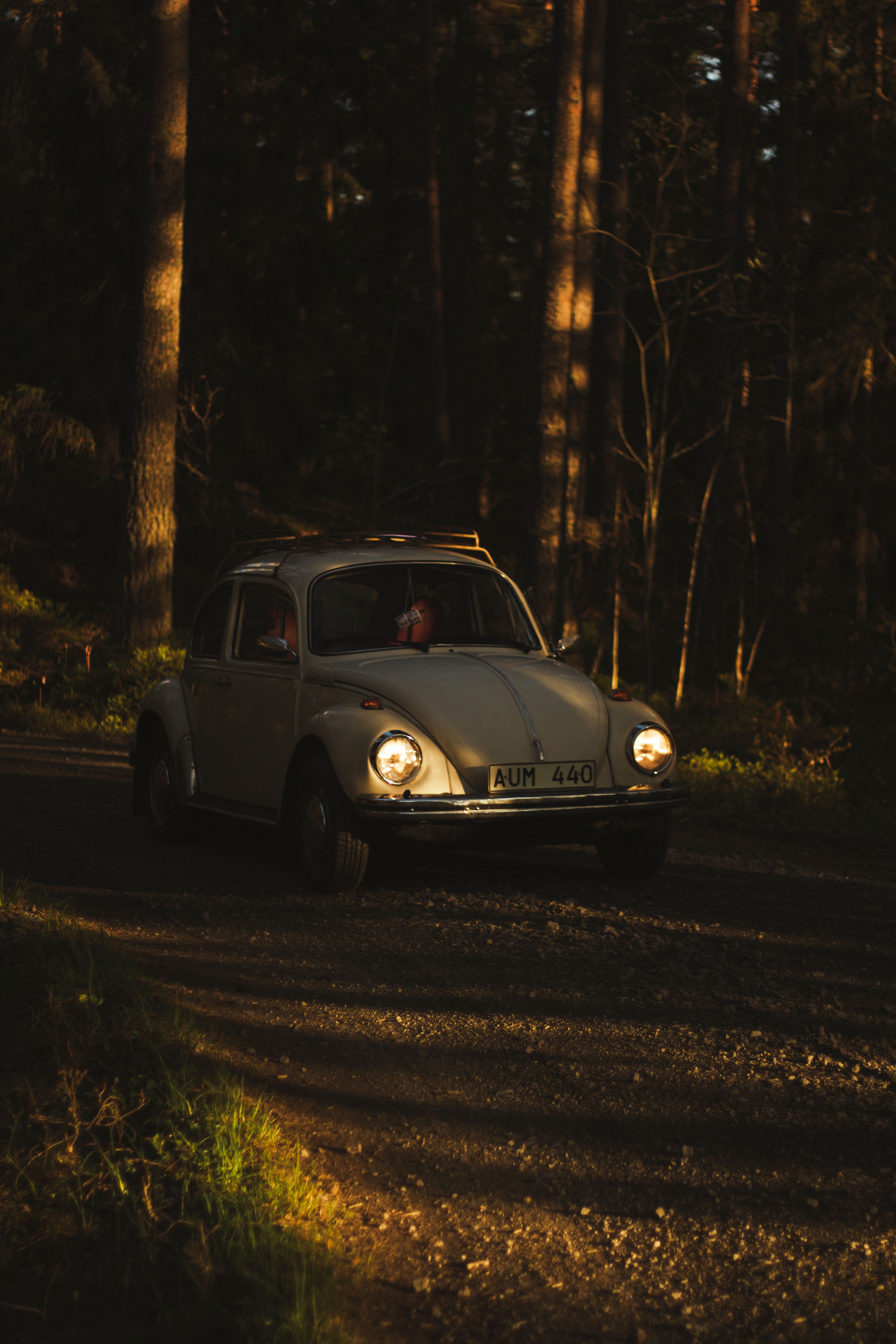 Vintage Nat Geo Photos, Download The BEST Free Vintage Nat Geo Stock ...