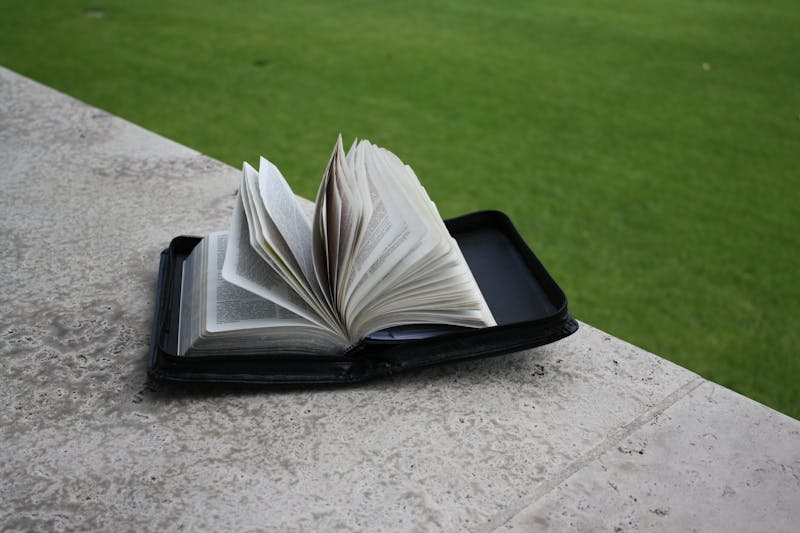 Case Management Photos, Download The BEST Free Case Management Stock ...