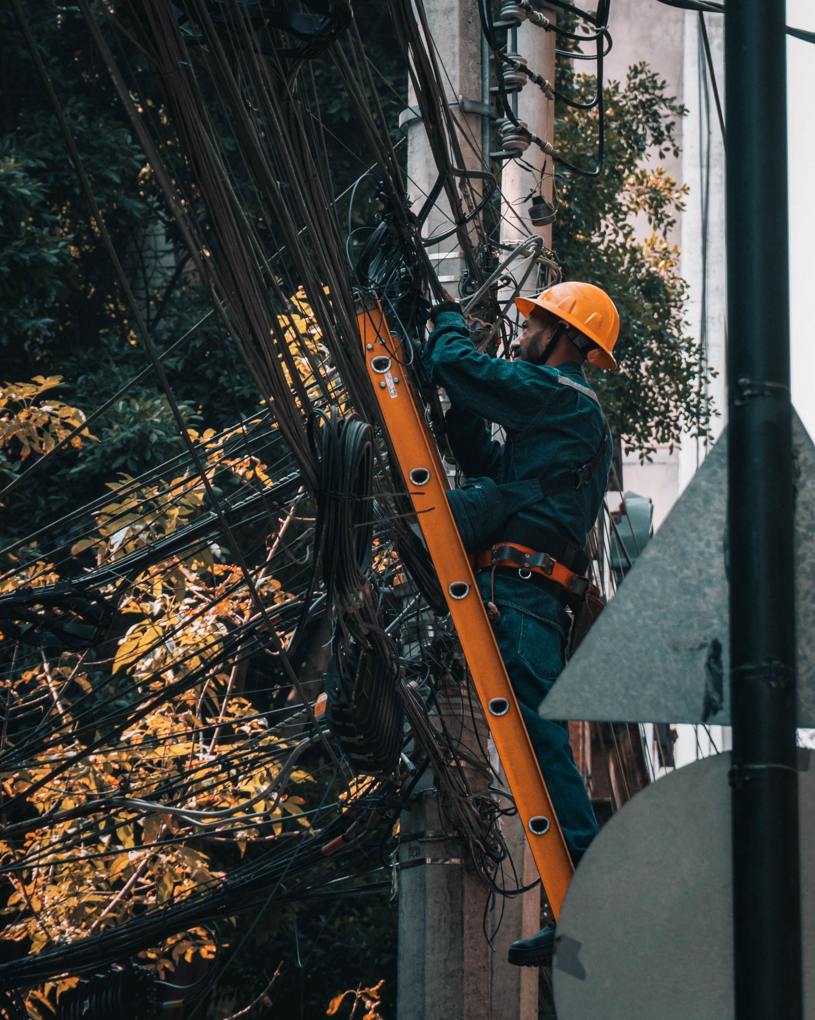 Man on Top of a Ladder · Free Stock Photo
