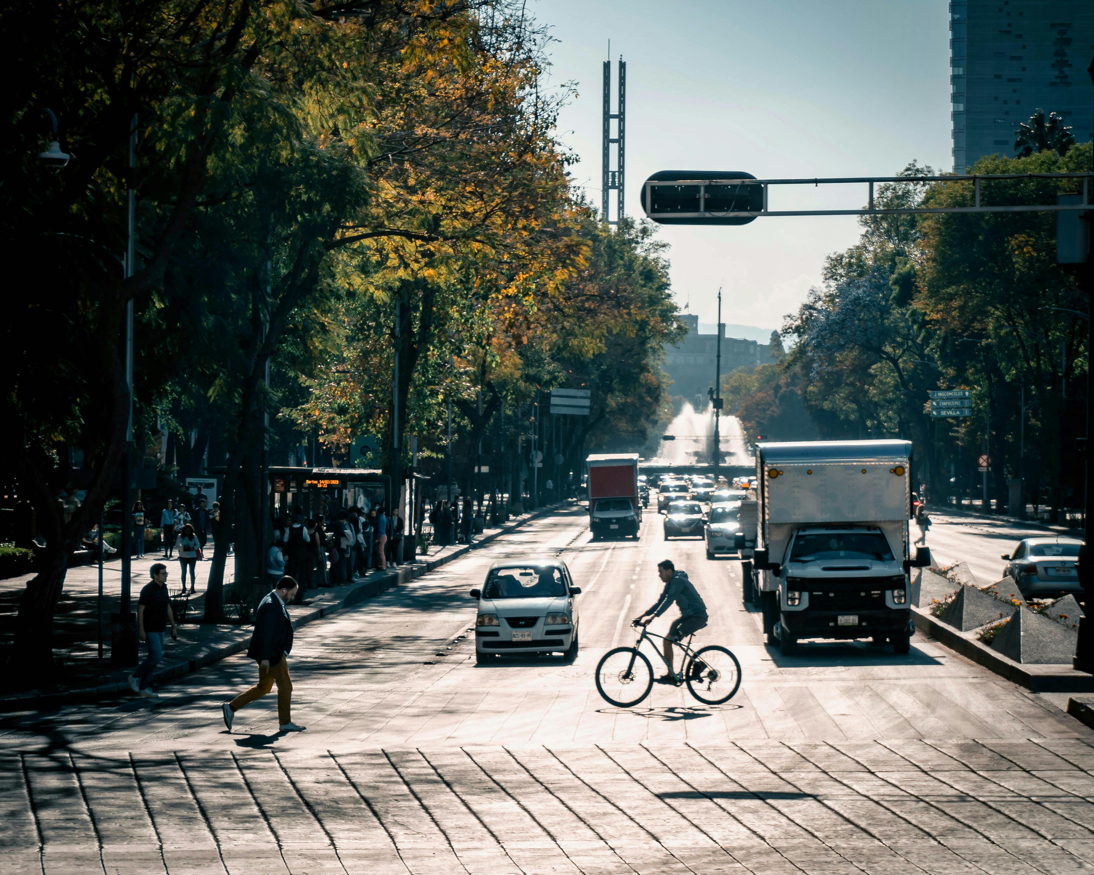 Pedestrians and a Cyclist on the Crosswalk · Free Stock Photo