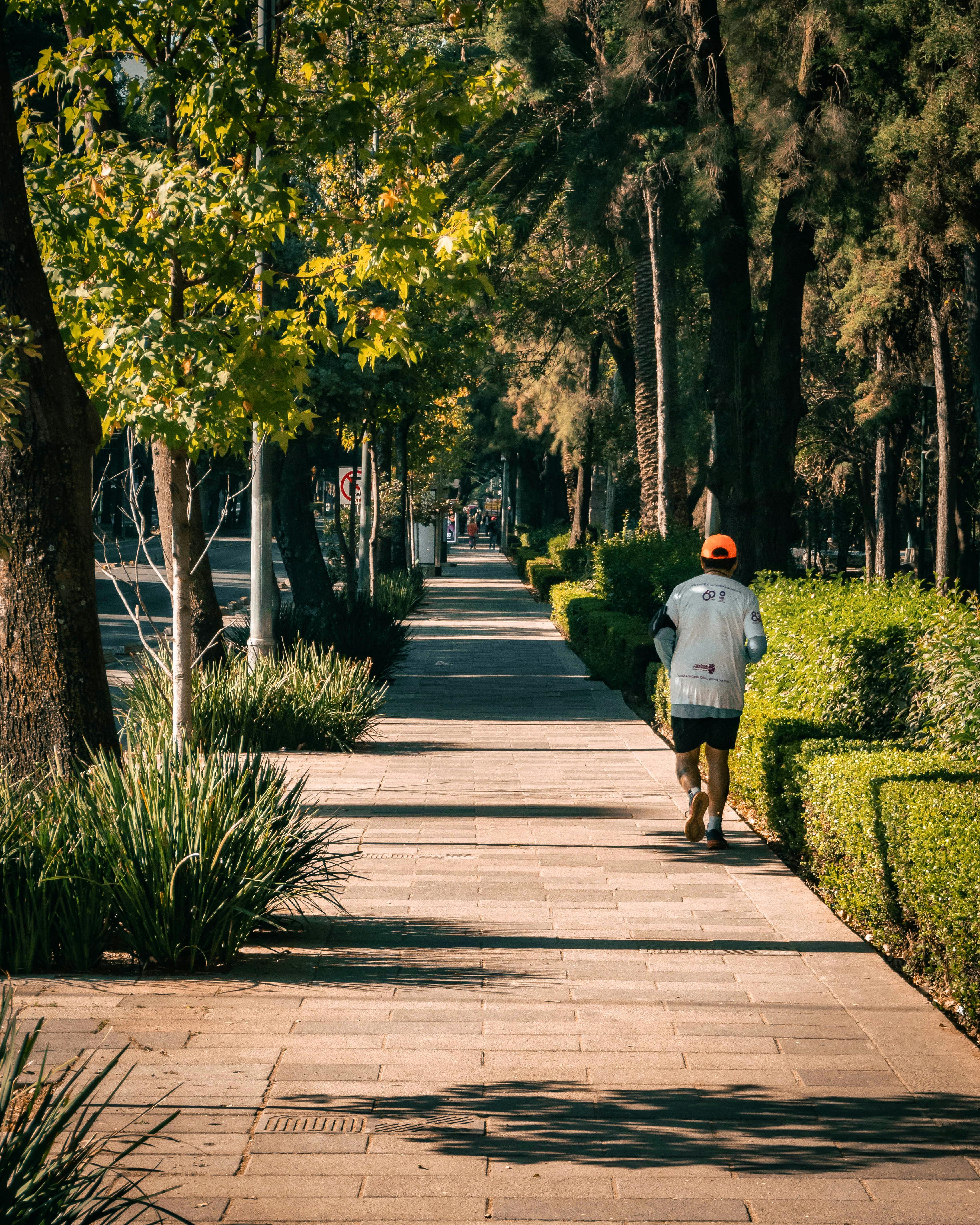Passerby Walking Along a Sidewalk Surrounded by Trees and Hedges · Free ...