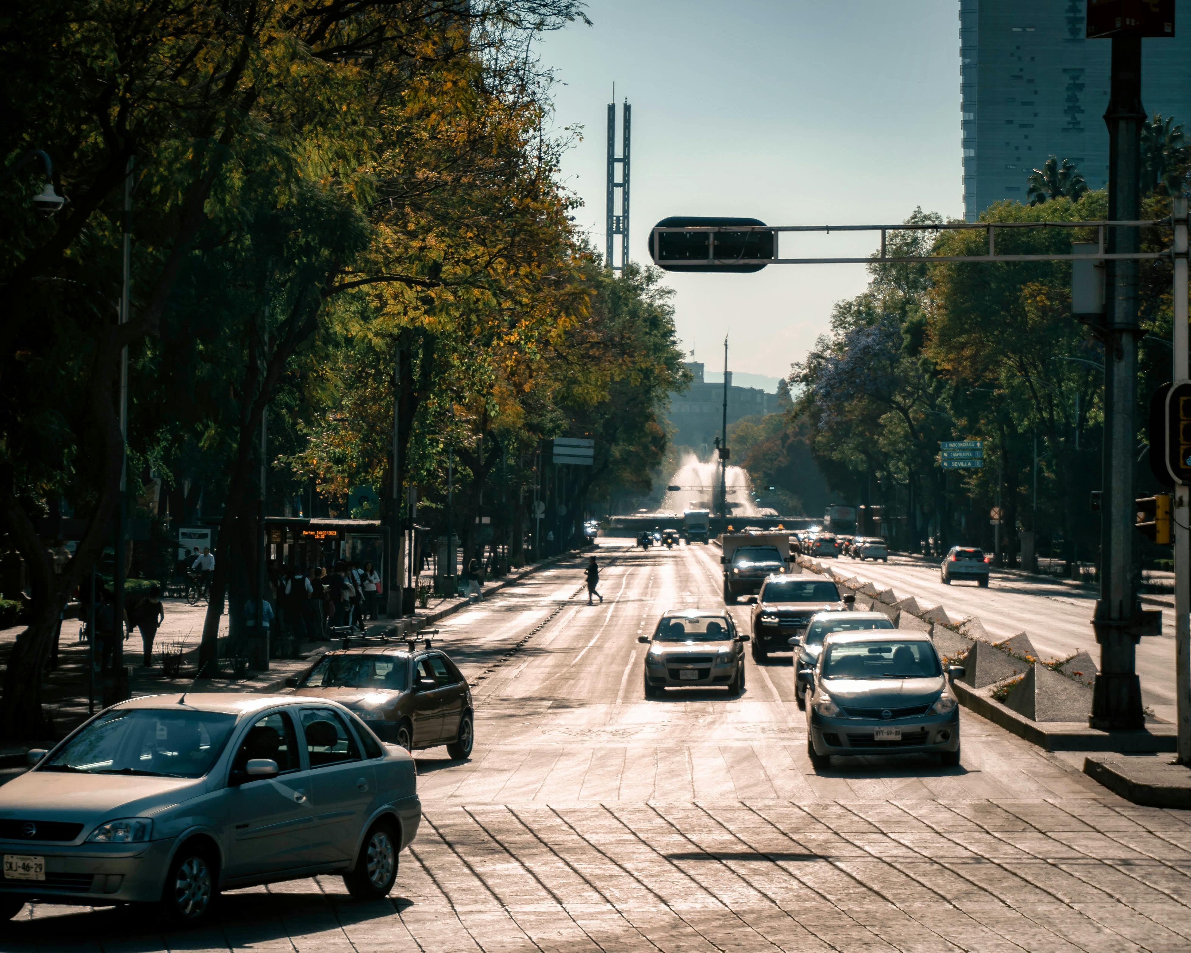 Cars on Street in City · Free Stock Photo