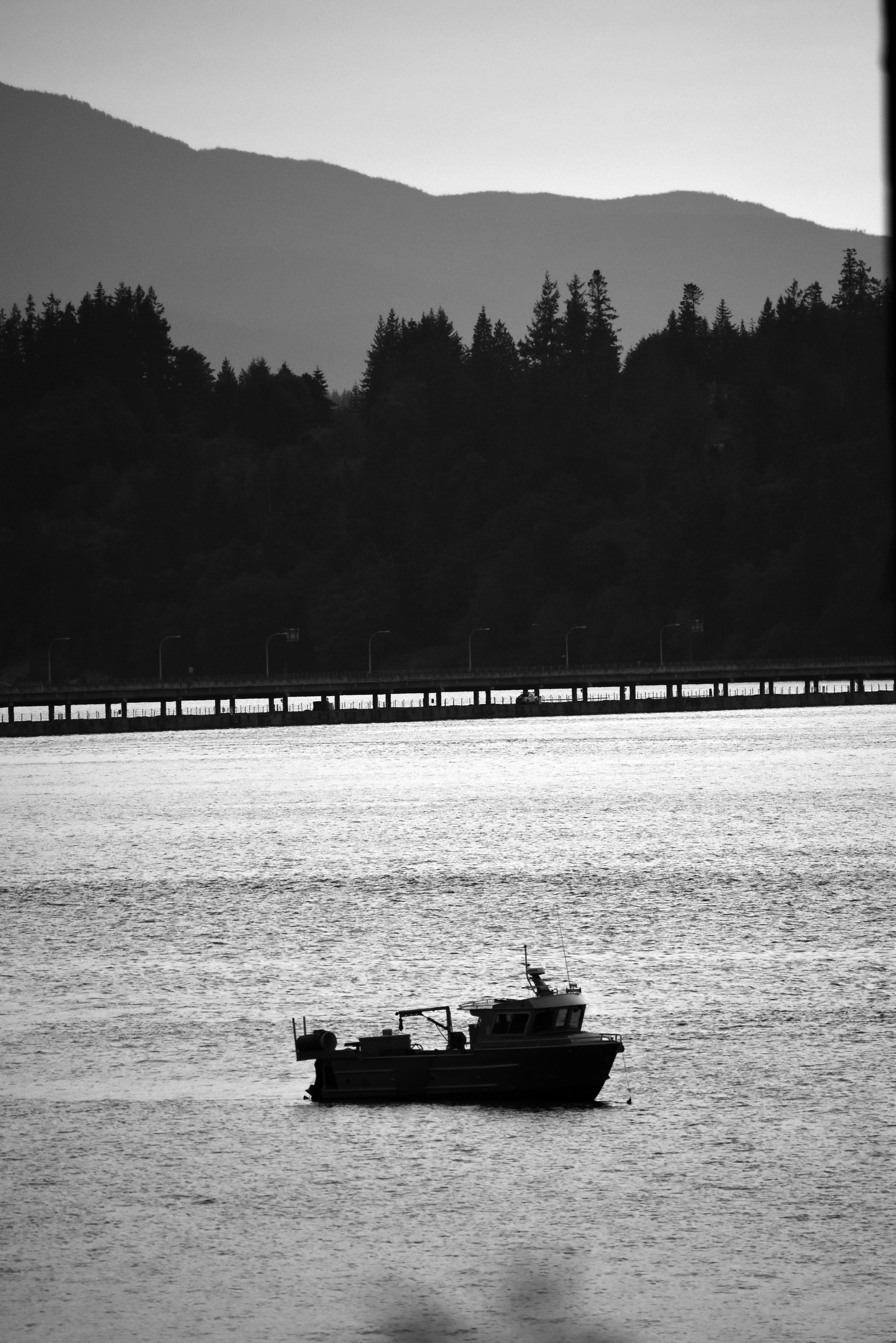 Top View of Boats on Beach · Free Stock Photo