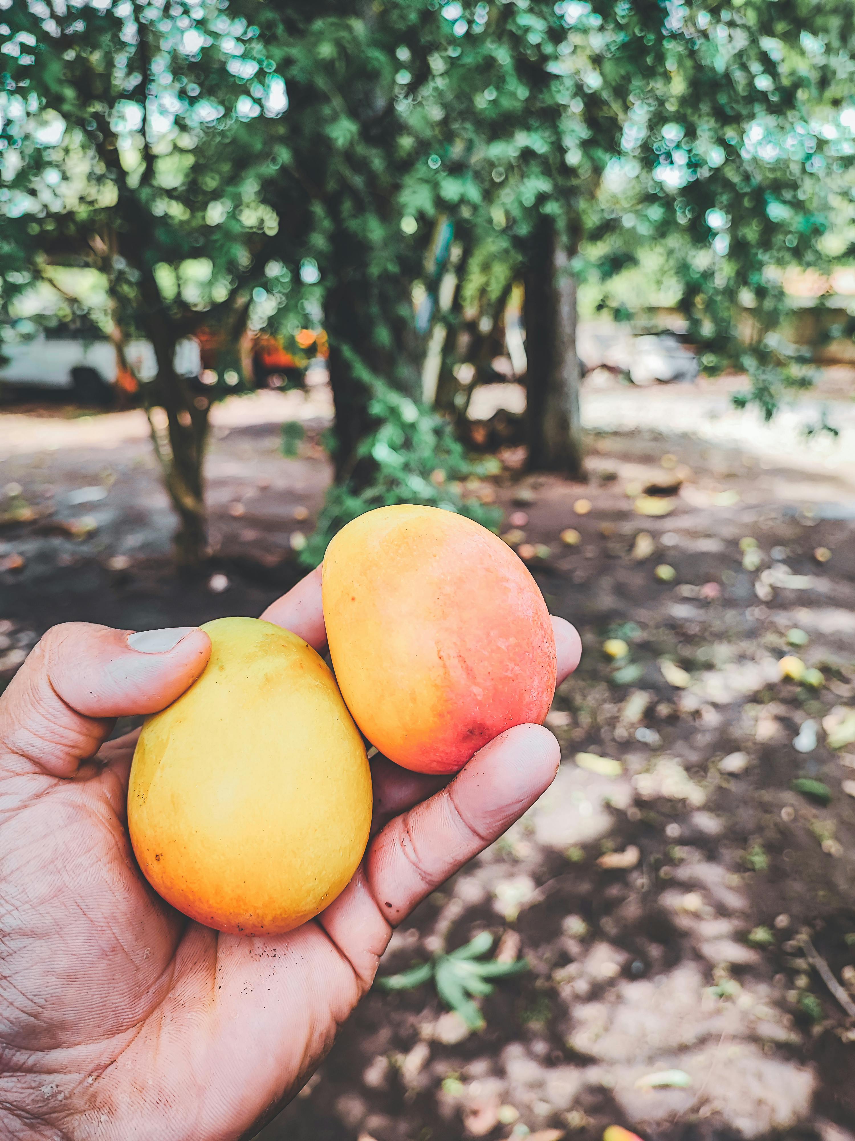 Giezi suhul Gonzalez - Fotografía