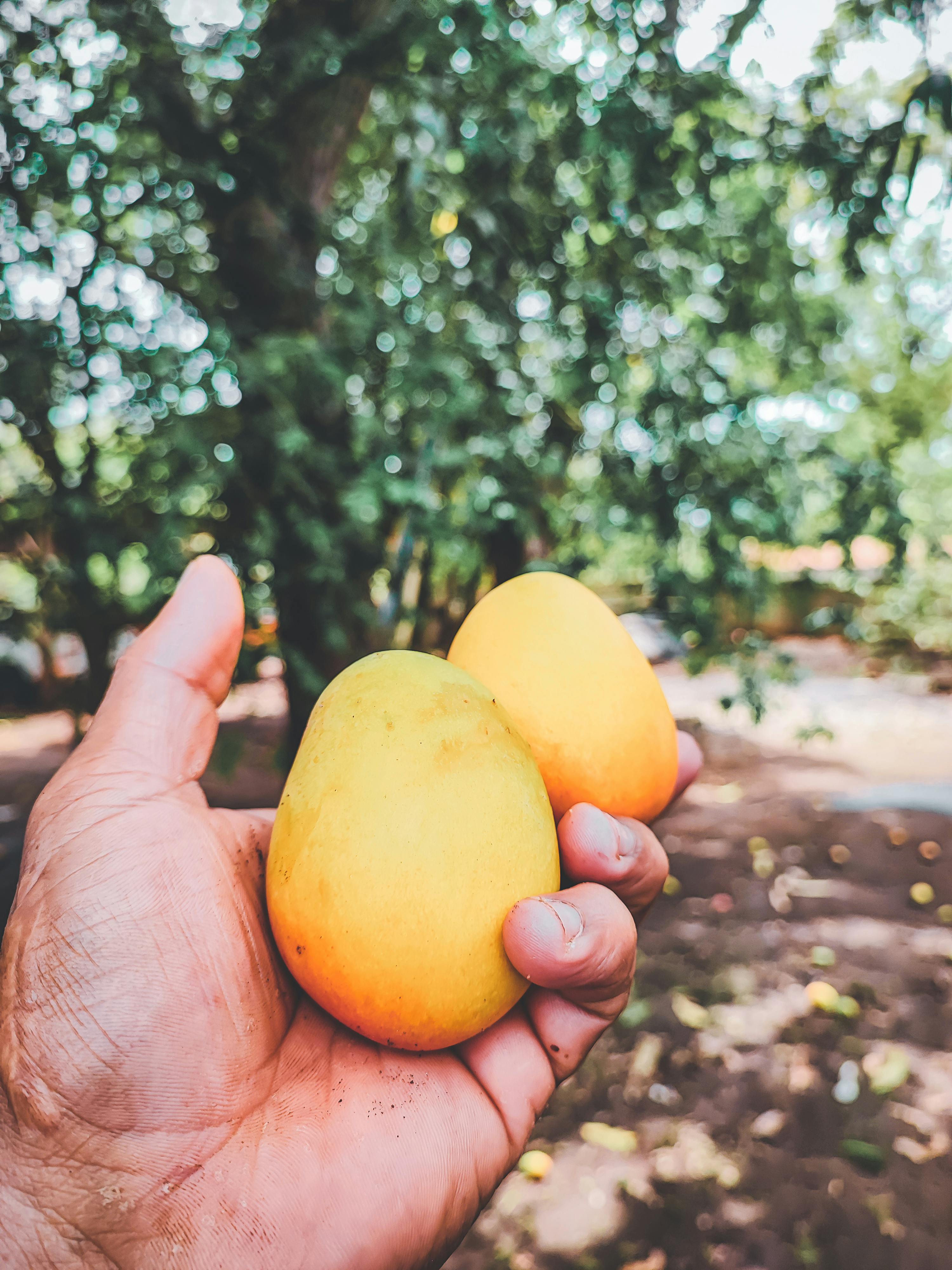Giezi suhul Gonzalez - Fotografía