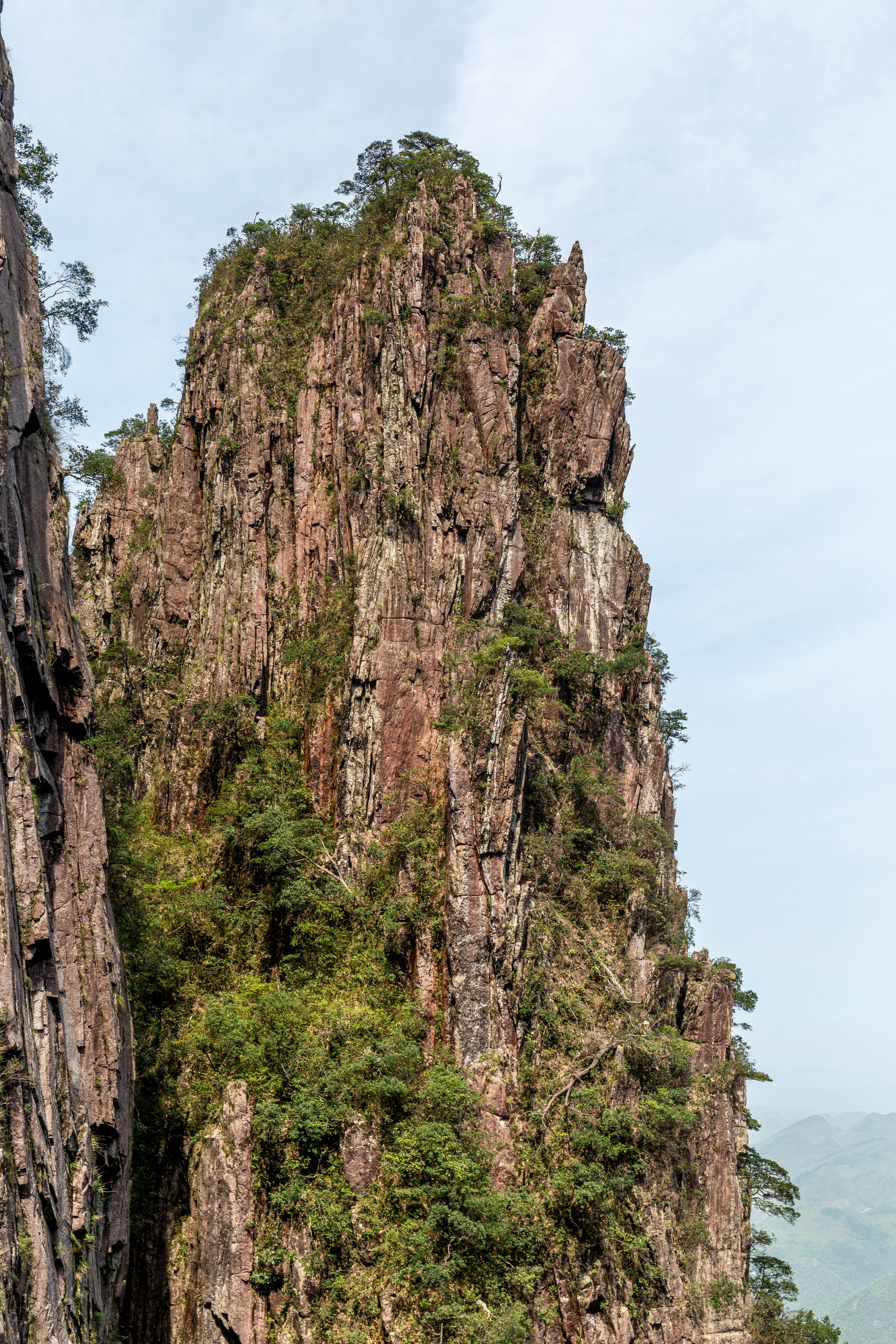 Trees on Rock Formation · Free Stock Photo