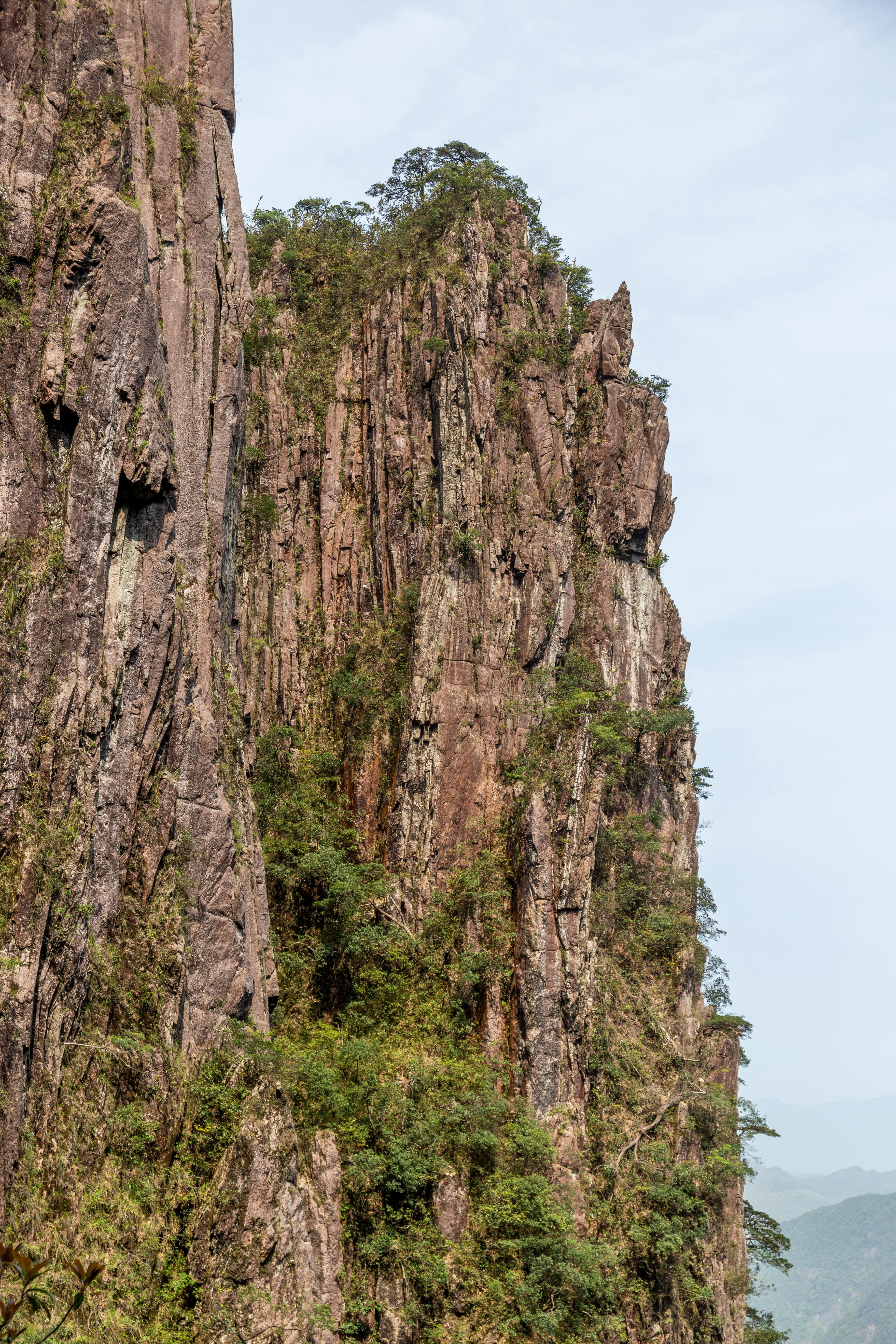 Trees on Rock Formation · Free Stock Photo