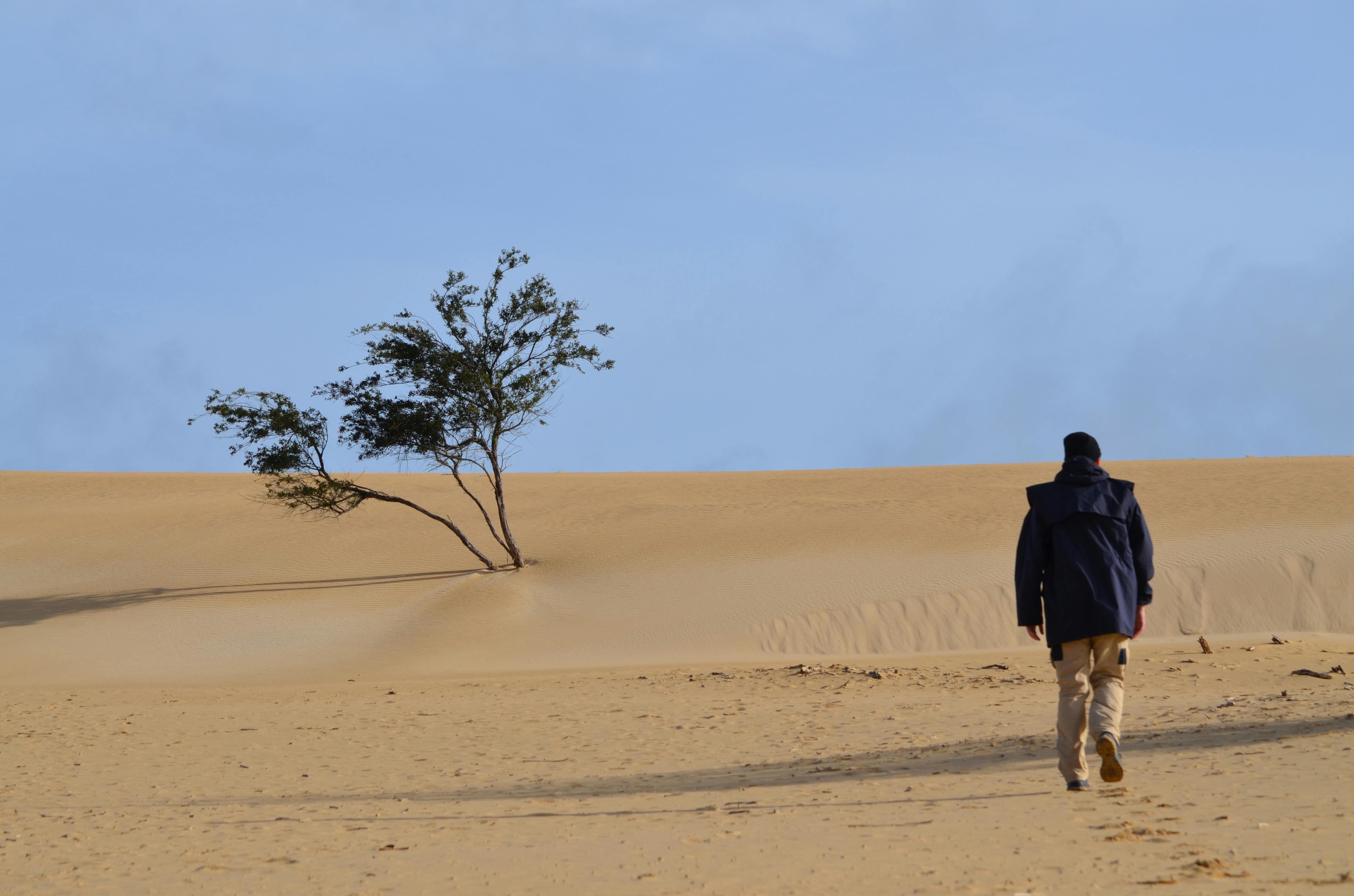 Single Man In Desert Photos, Download The BEST Free Single Man In ...