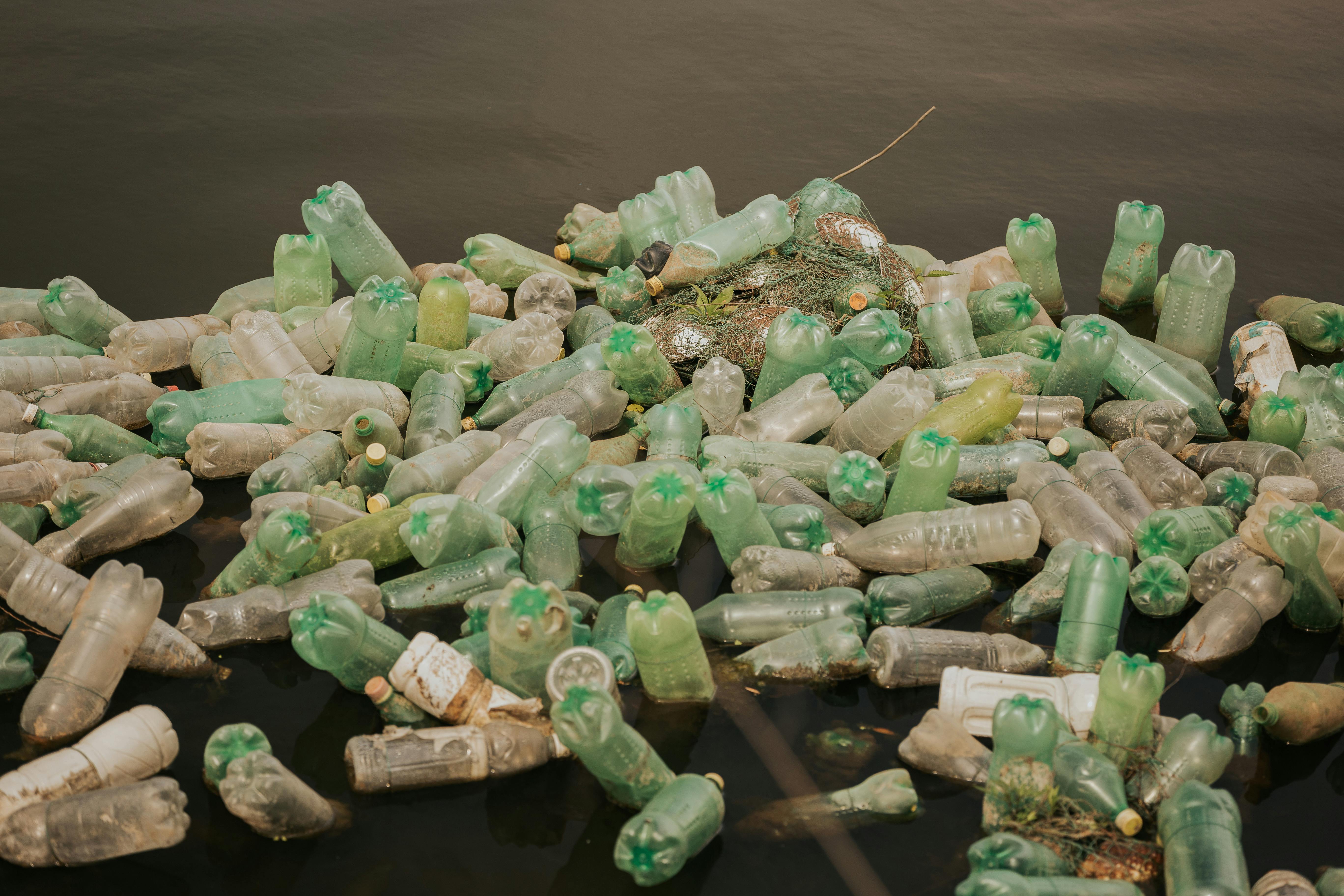 Plastic Bottles · Free Stock Photo