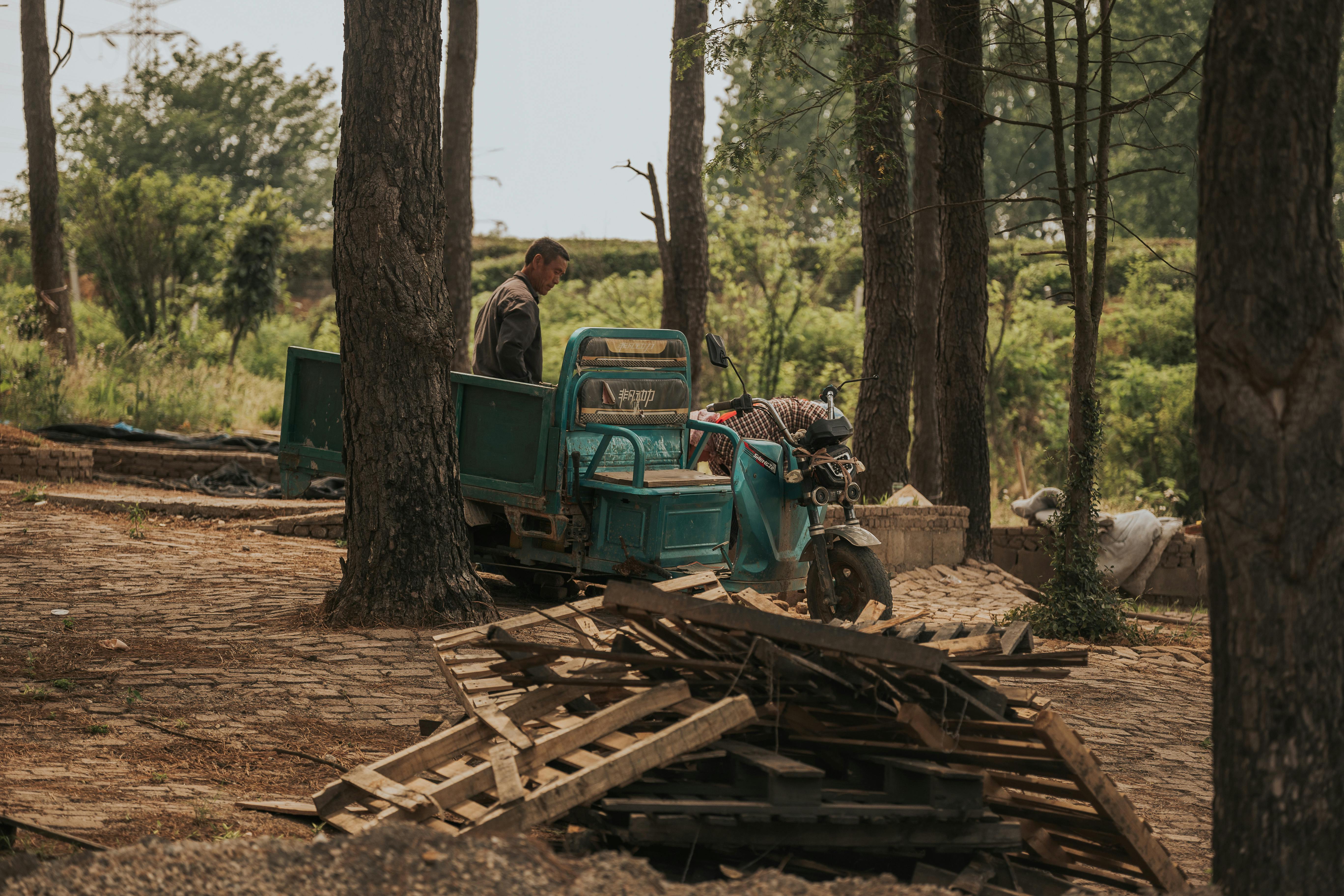 Timber Man Working in a Forest · Free Stock Photo