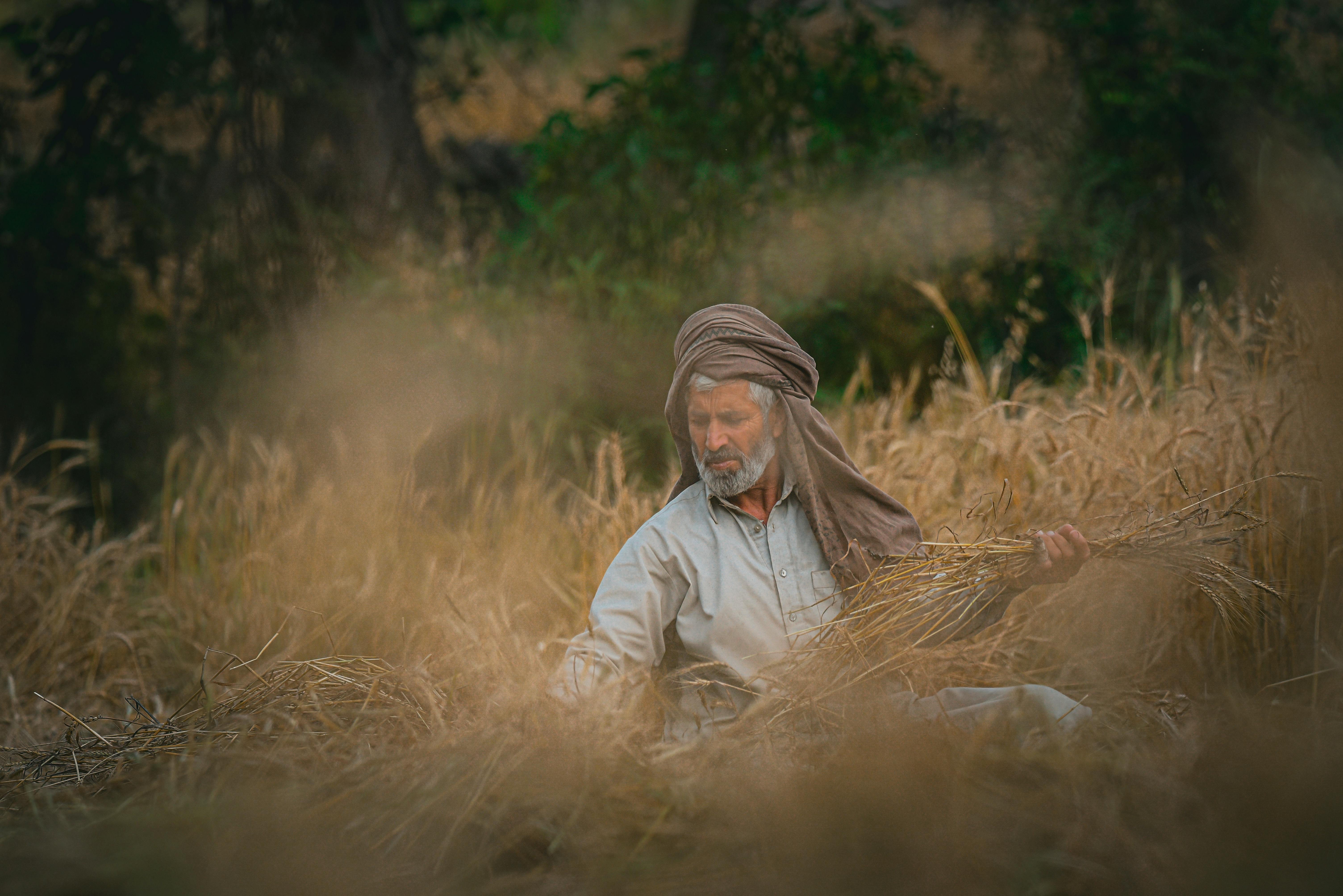 Elderly Farmer Working in Field · Free Stock Photo