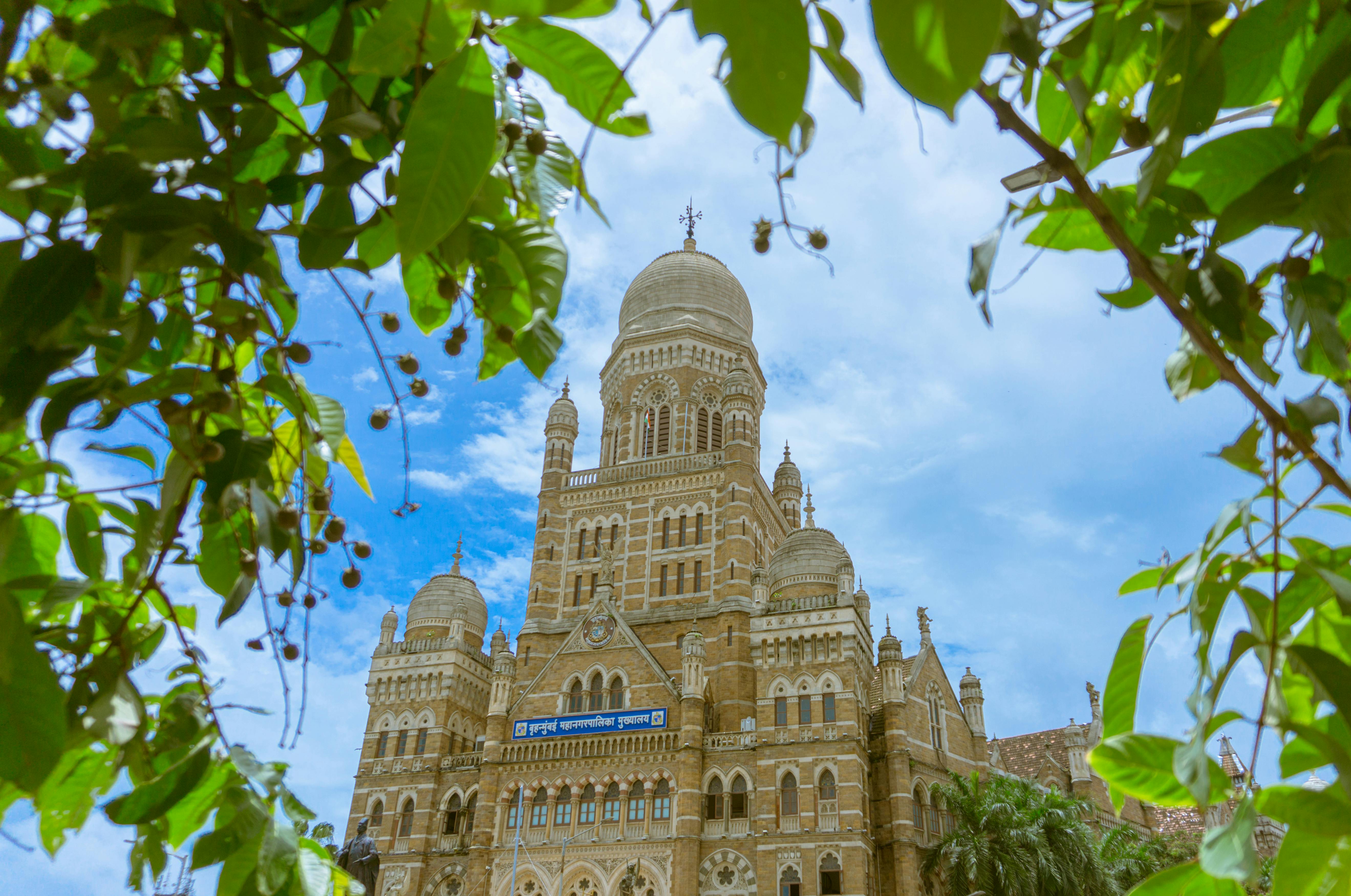 Vishal Prasad - 사진