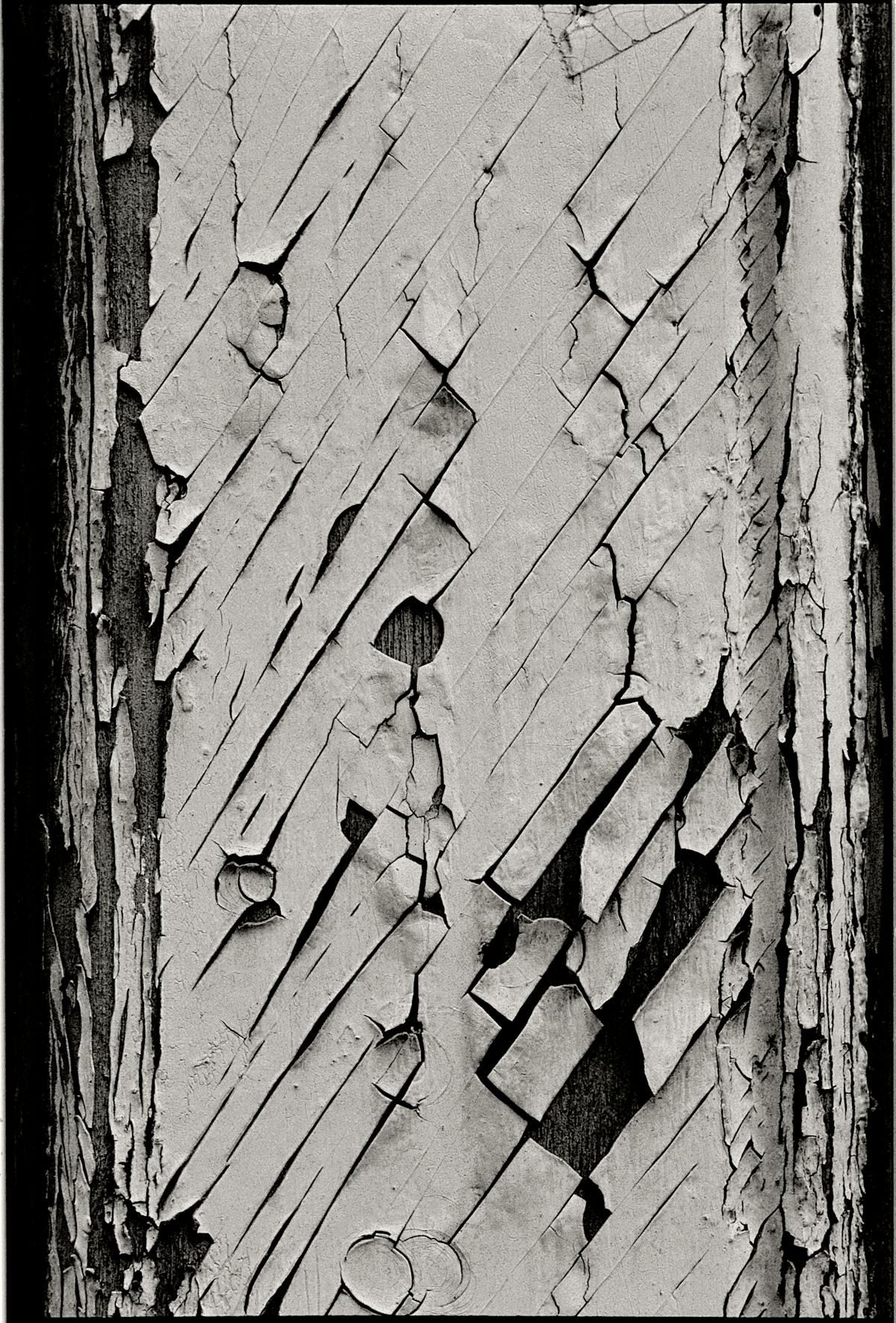 Plain Wood Texture Photos, Download The BEST Free Plain Wood Texture ...