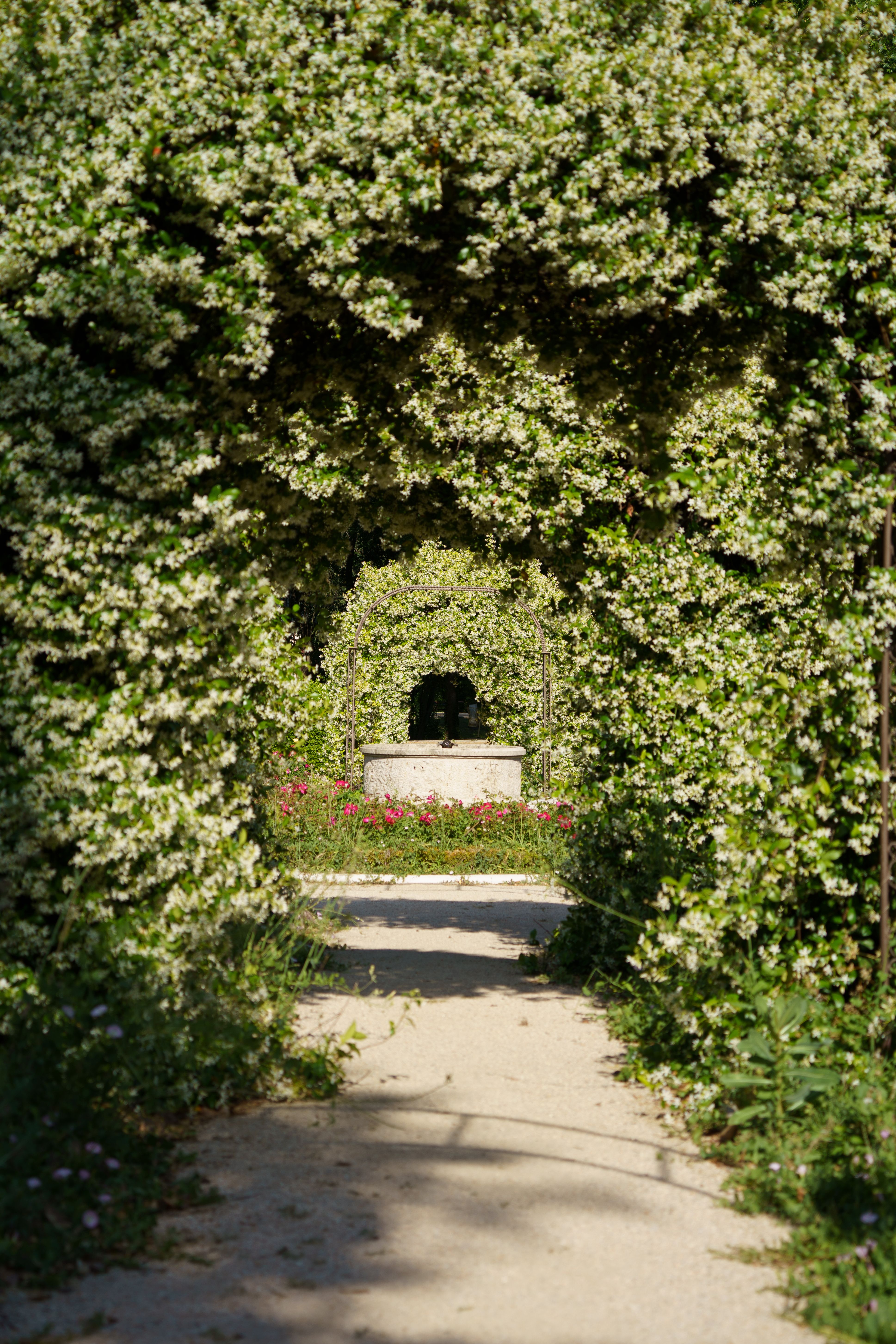 Entrance Gate to Garden Overgrown with Flower Bush · Free Stock Photo