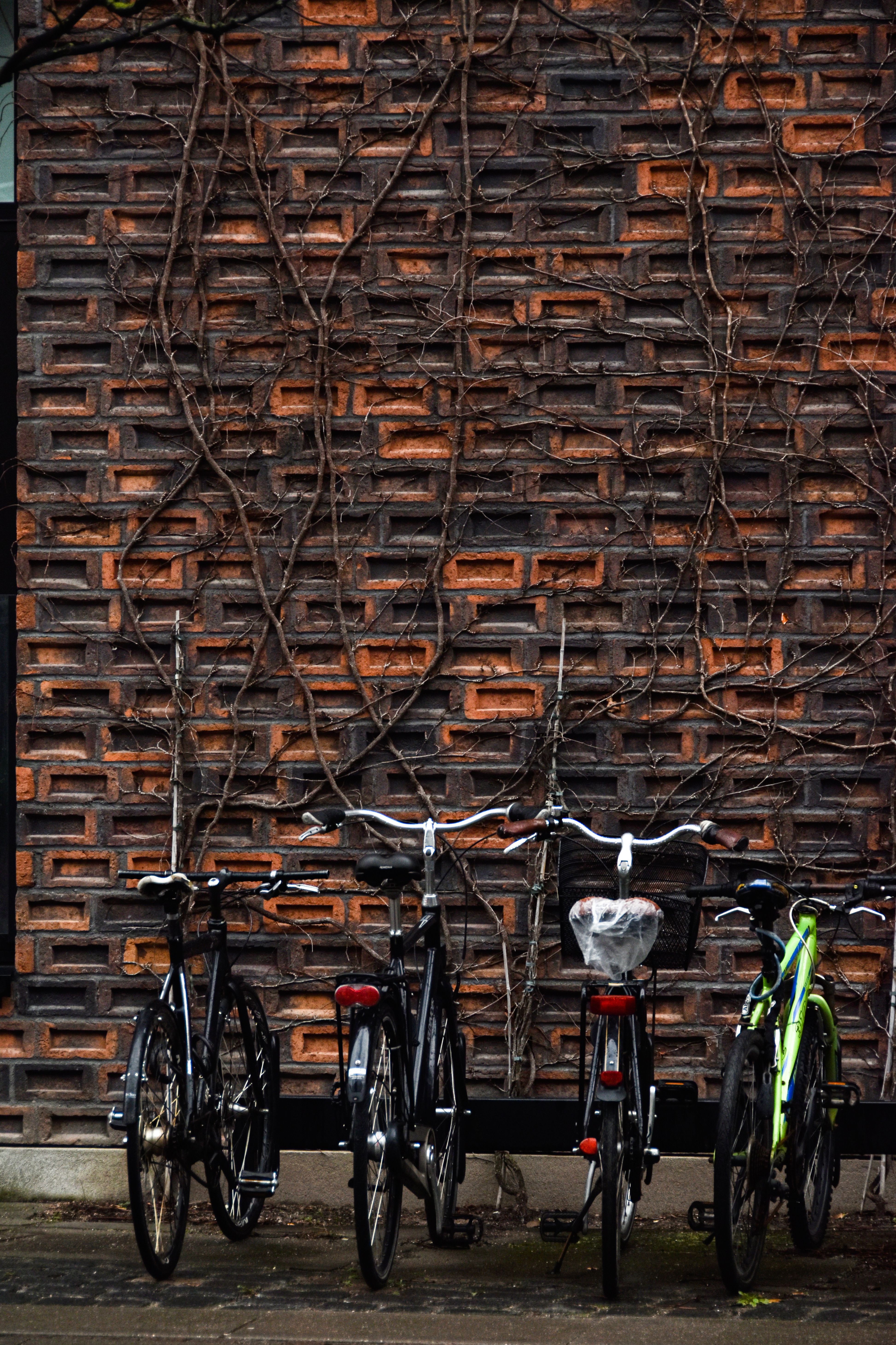 Bikes by the Brick Wall · Free Stock Photo