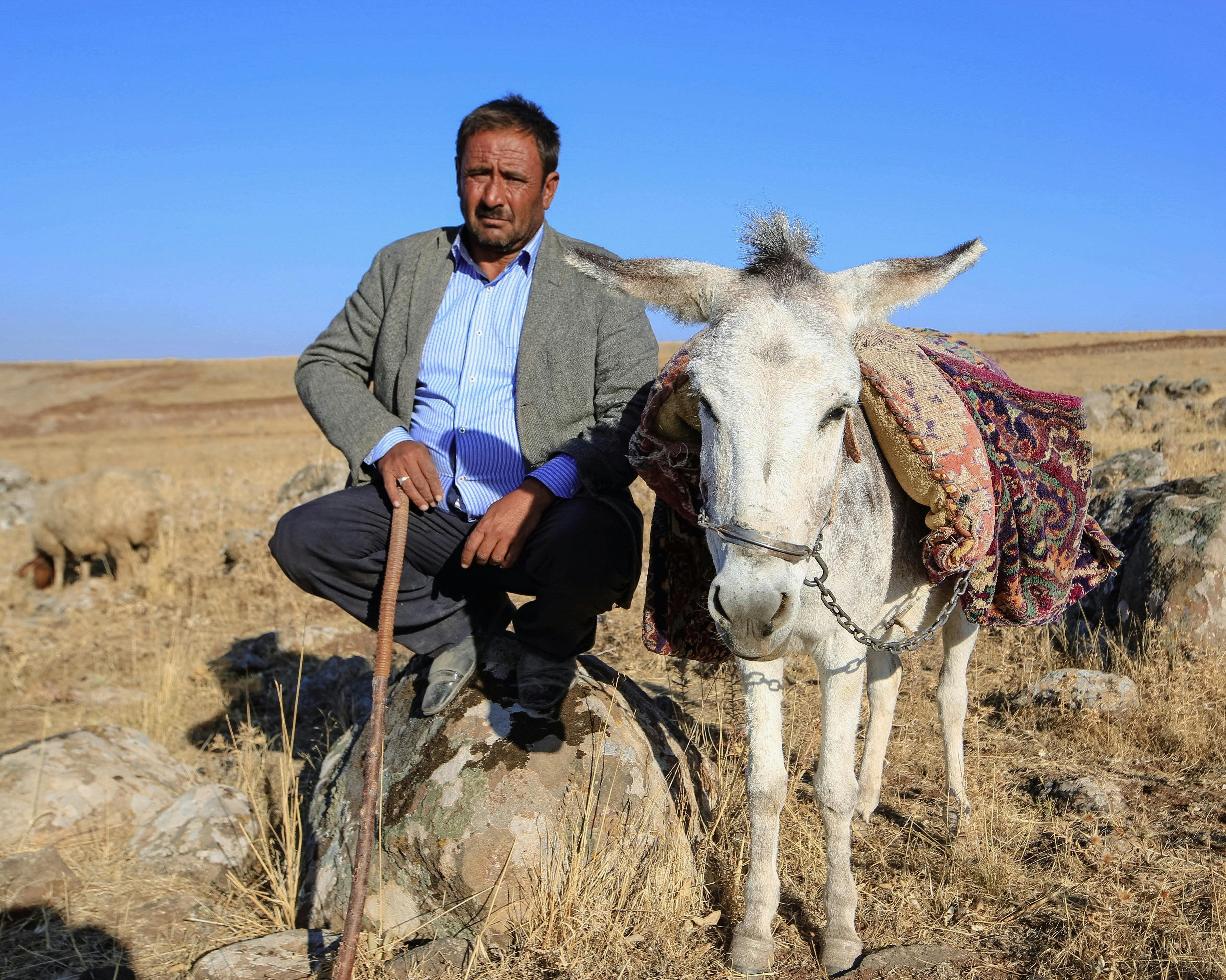 A Man and a Donkey · Free Stock Photo