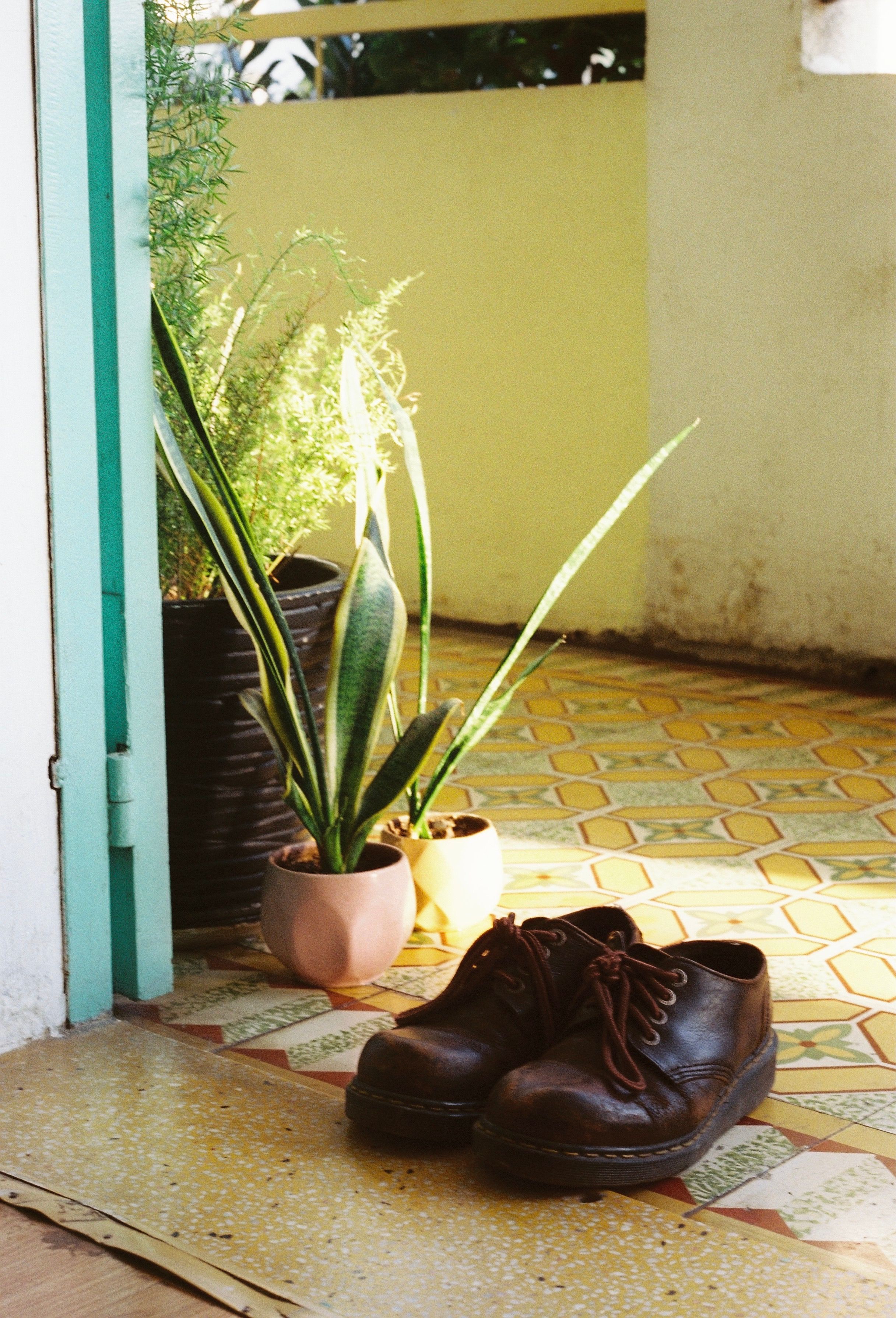 Three Pairs of Shoes · Free Stock Photo