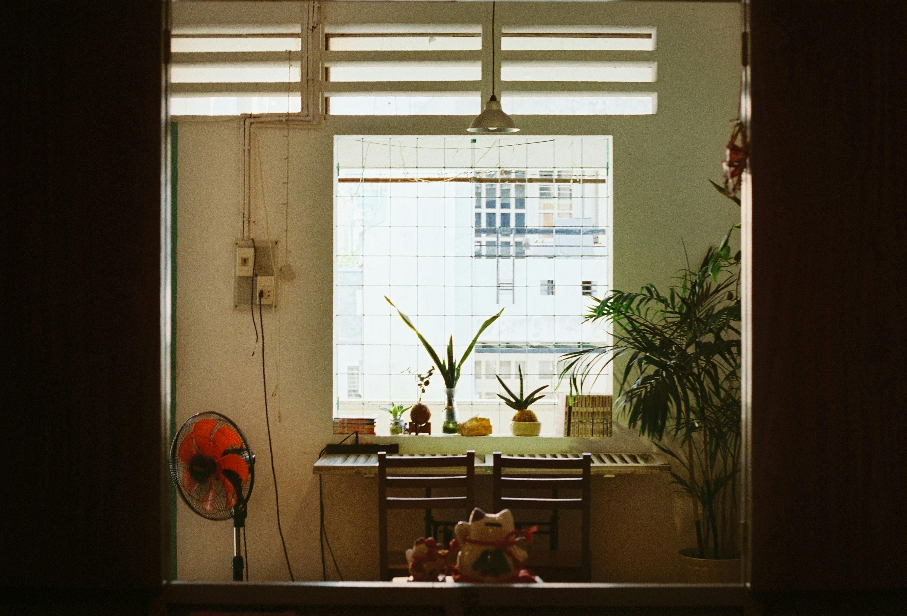 Breathing Window Photos, Download The BEST Free Breathing Window Stock ...