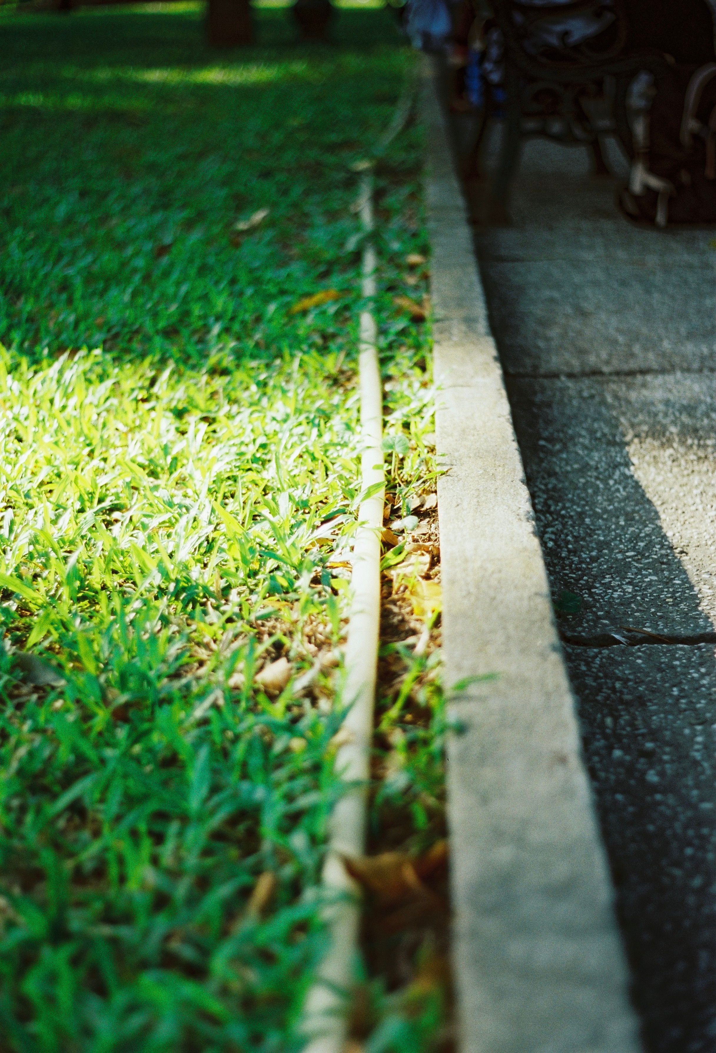Hose on Grass Along Curb · Free Stock Photo