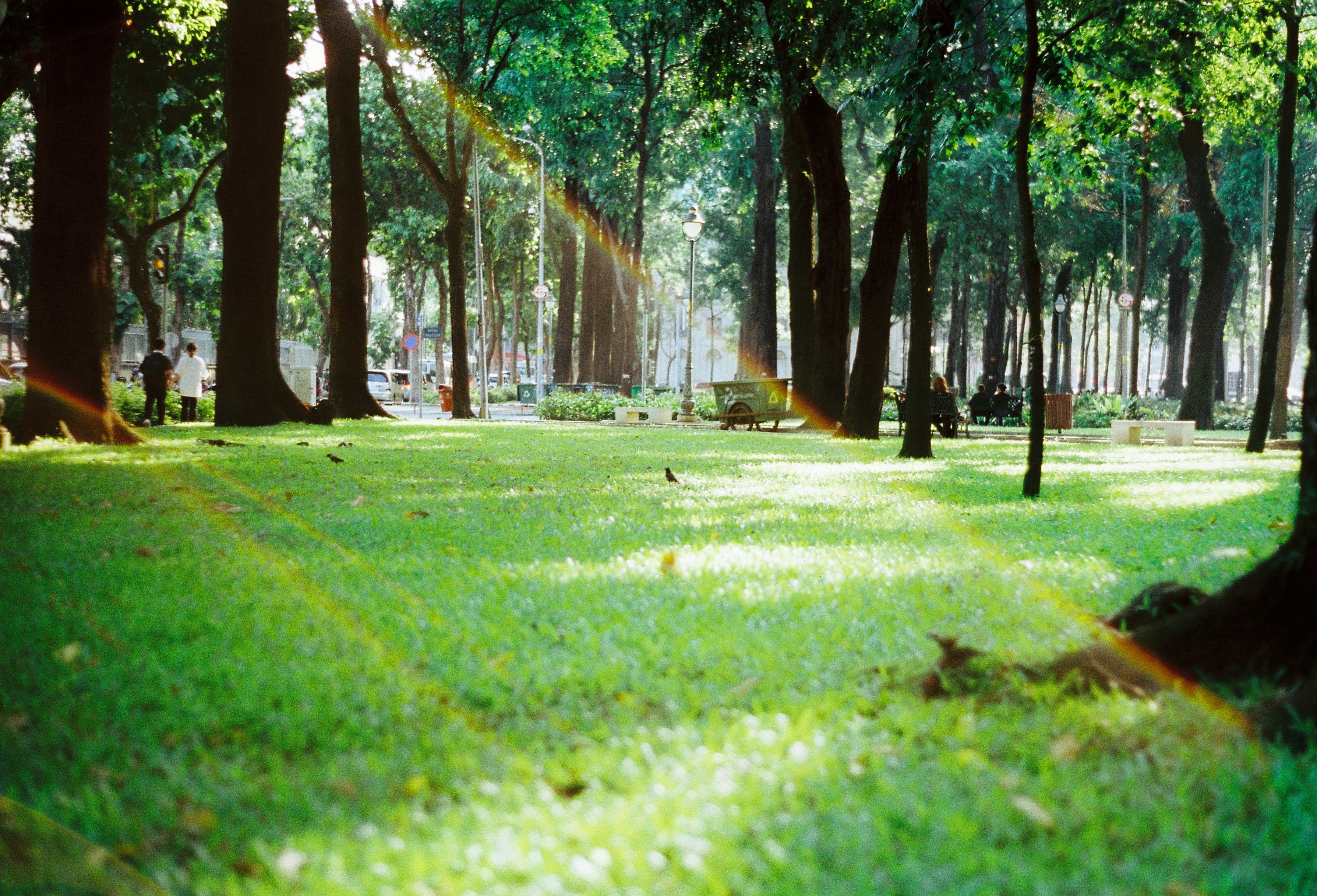 Sunshine In Park Photos, Download The BEST Free Sunshine In Park Stock ...