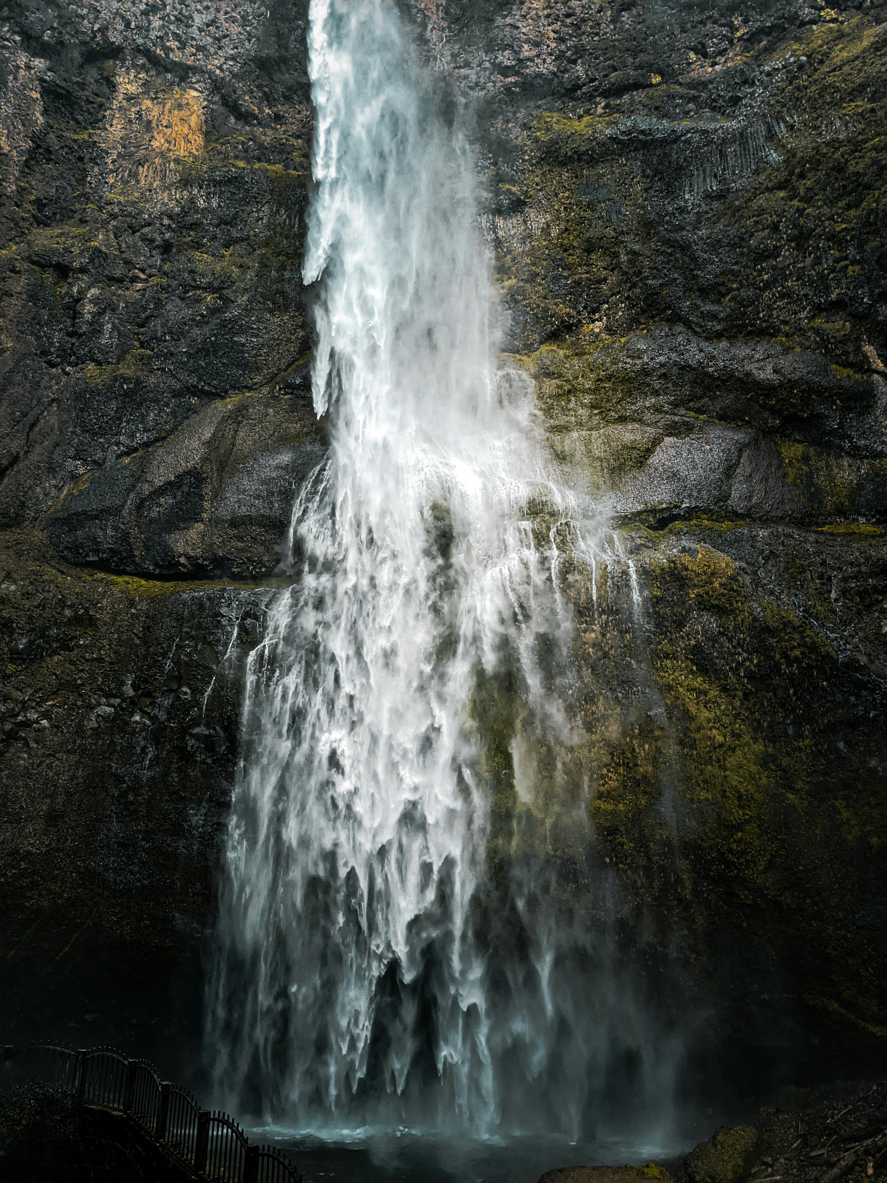 Green Trees Near the Waterfall · Free Stock Photo