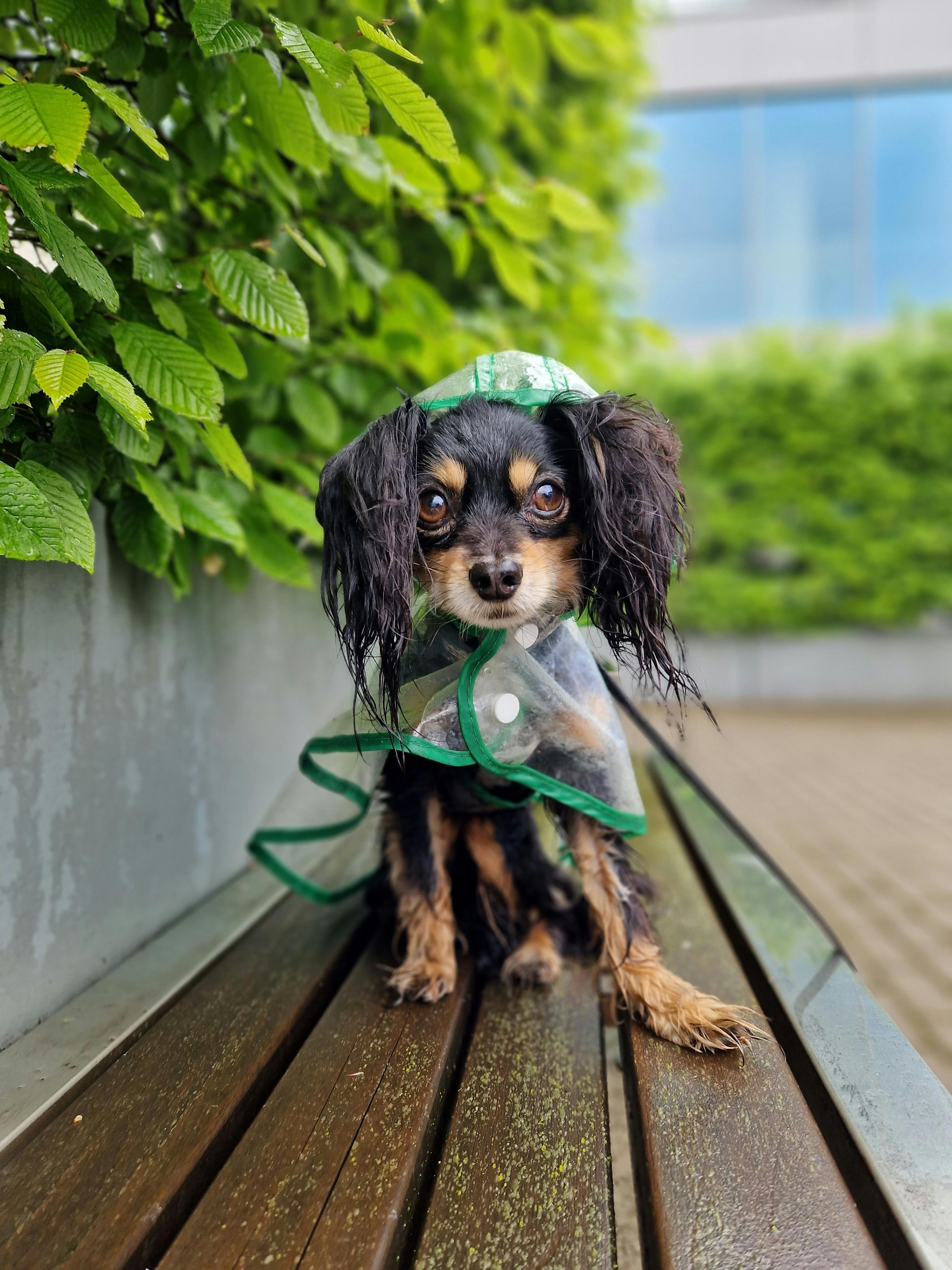 Lock Screen Wallpaper Portrait Photos, Download The BEST Free Lock ...