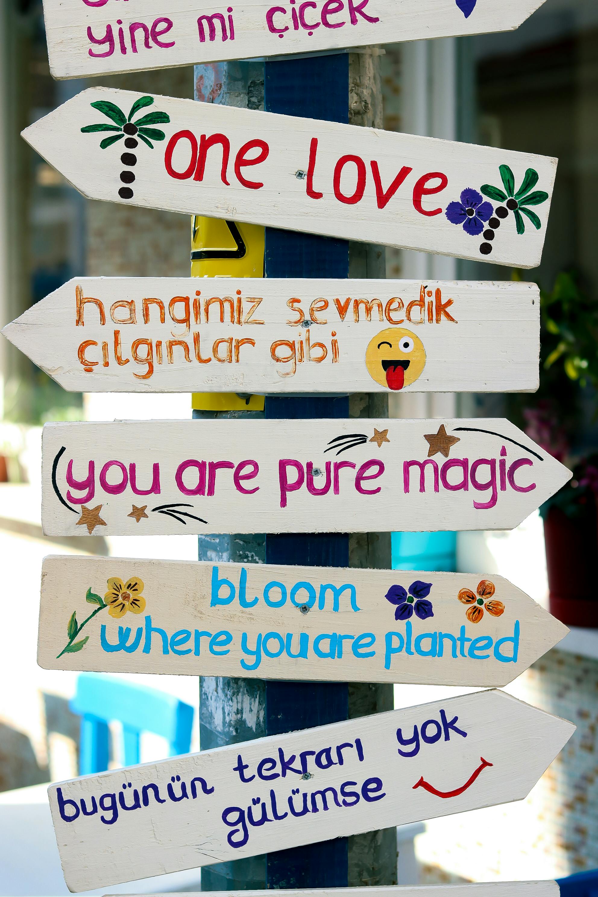 Photo of a Signpost in Turkey · Free Stock Photo