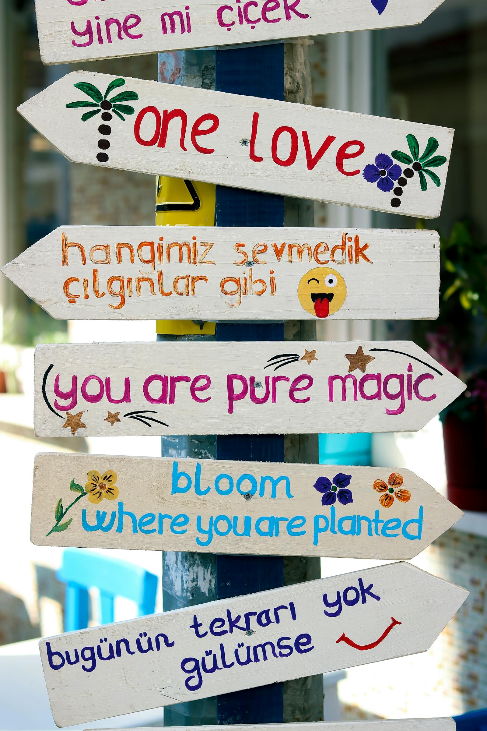 Signpost Photos, Download The BEST Free Signpost Stock Photos & HD Images