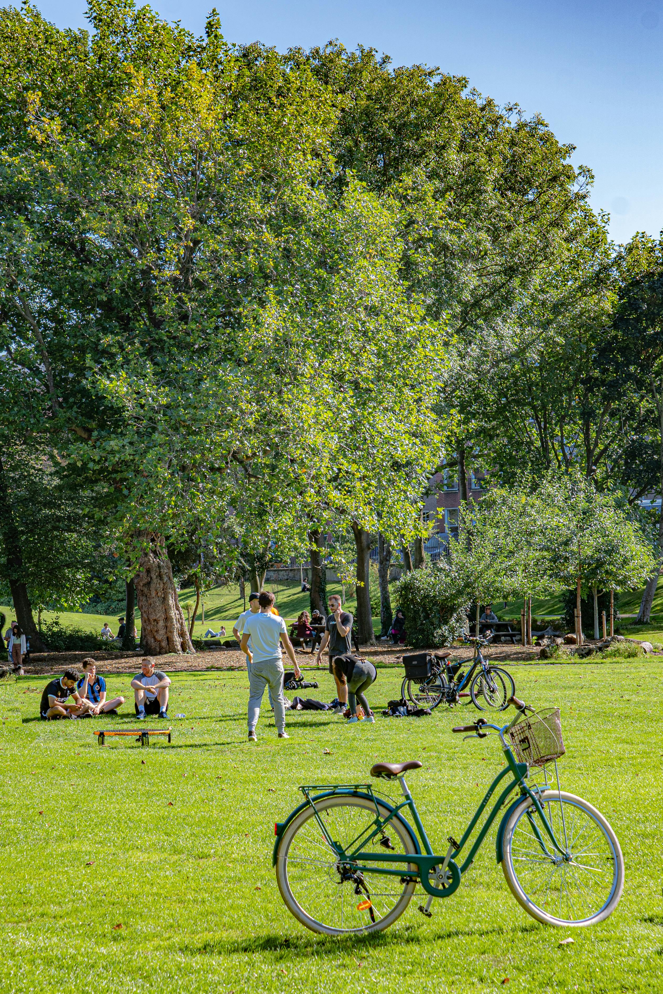 People at Park · Free Stock Photo