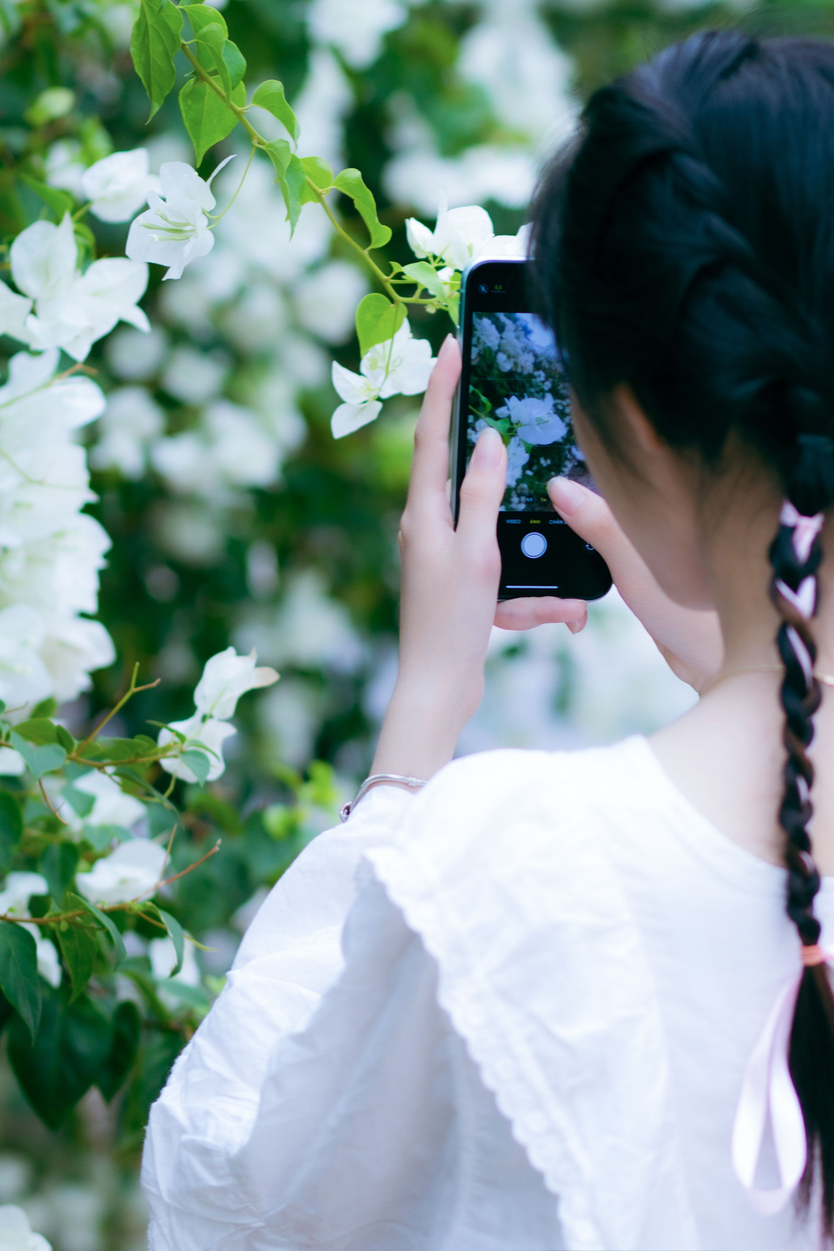 Thap Mui Photos, Download The BEST Free Thap Mui Stock Photos & HD Images
