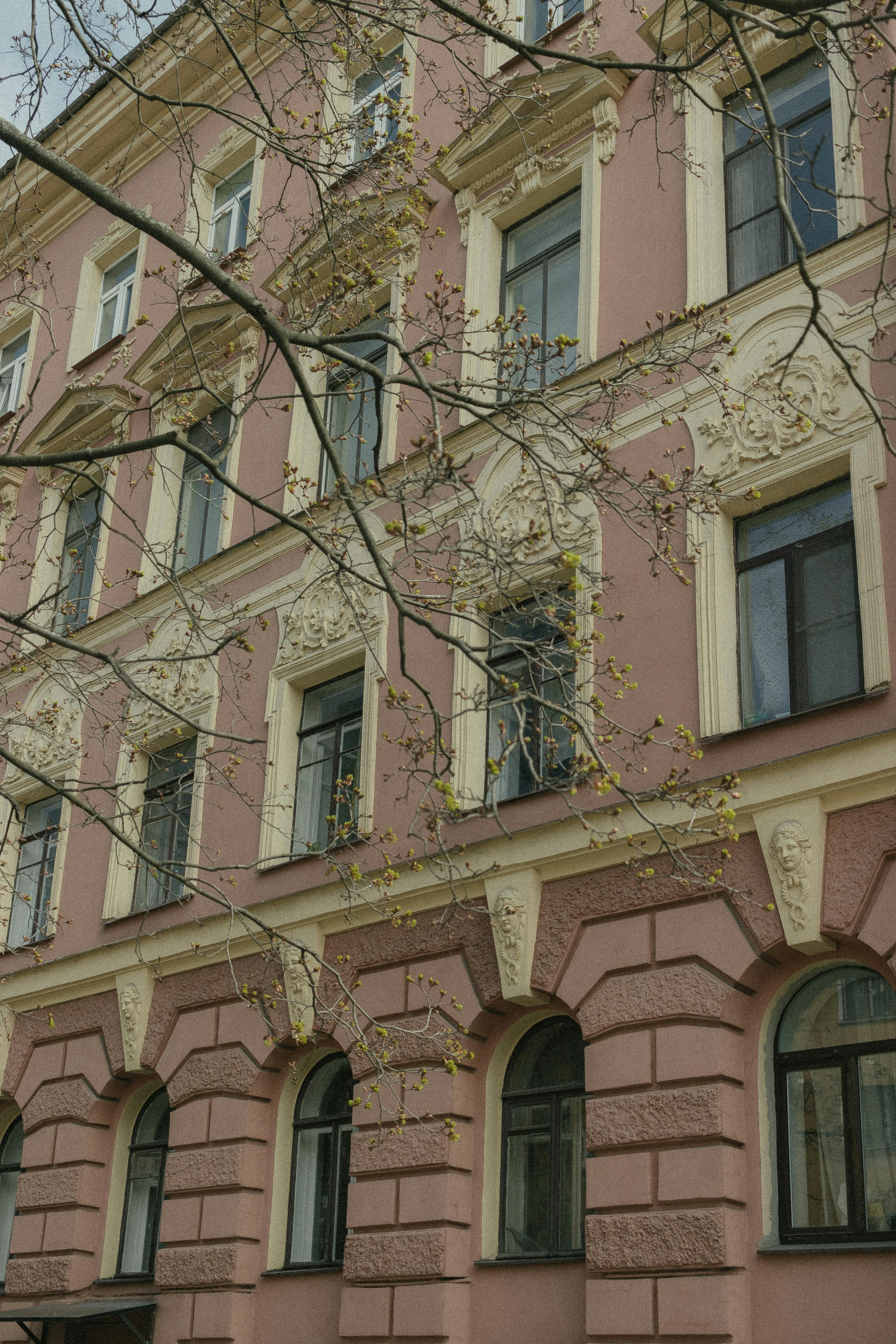 Building Wall behind Branches · Free Stock Photo