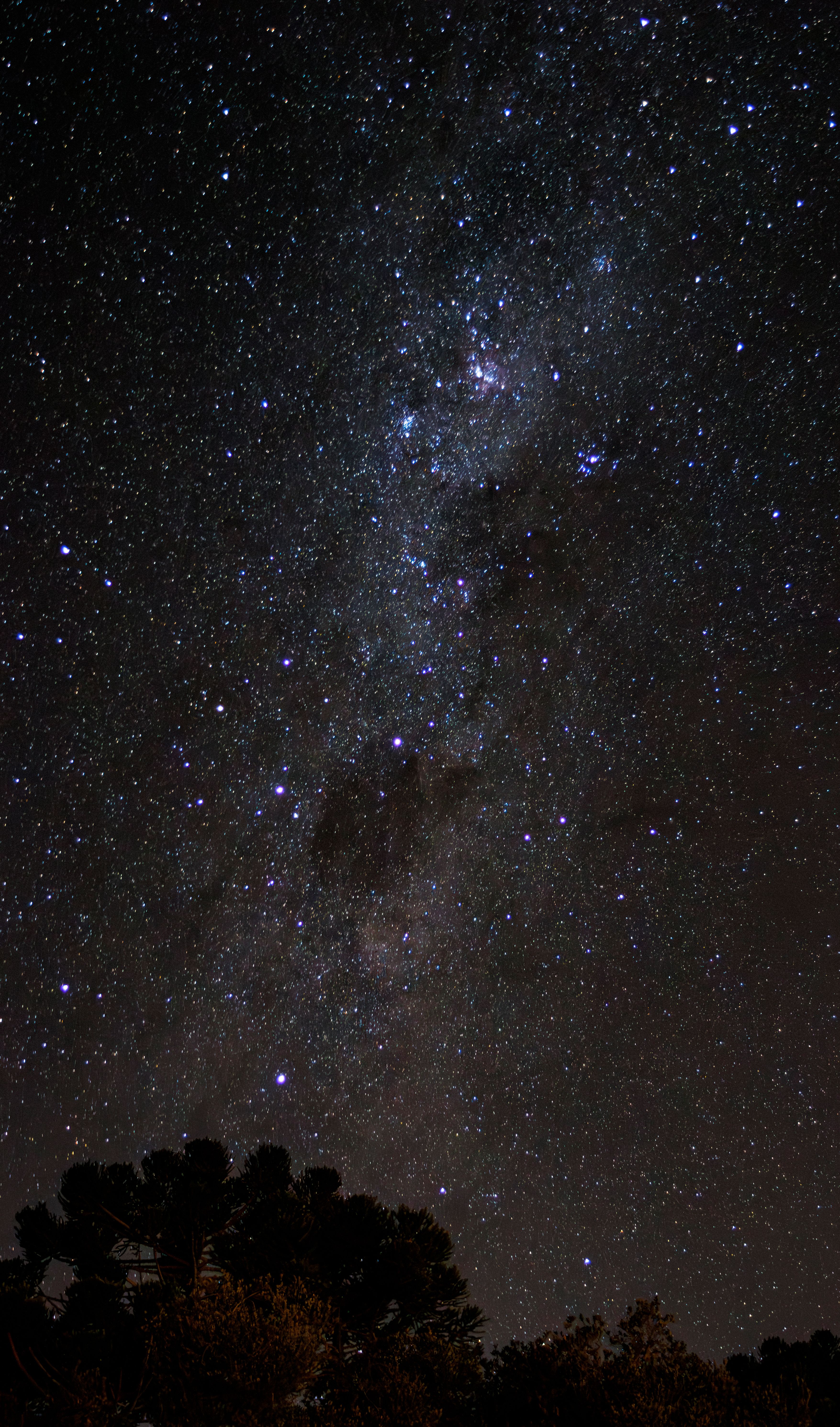 Stars in the Night Sky · Free Stock Photo