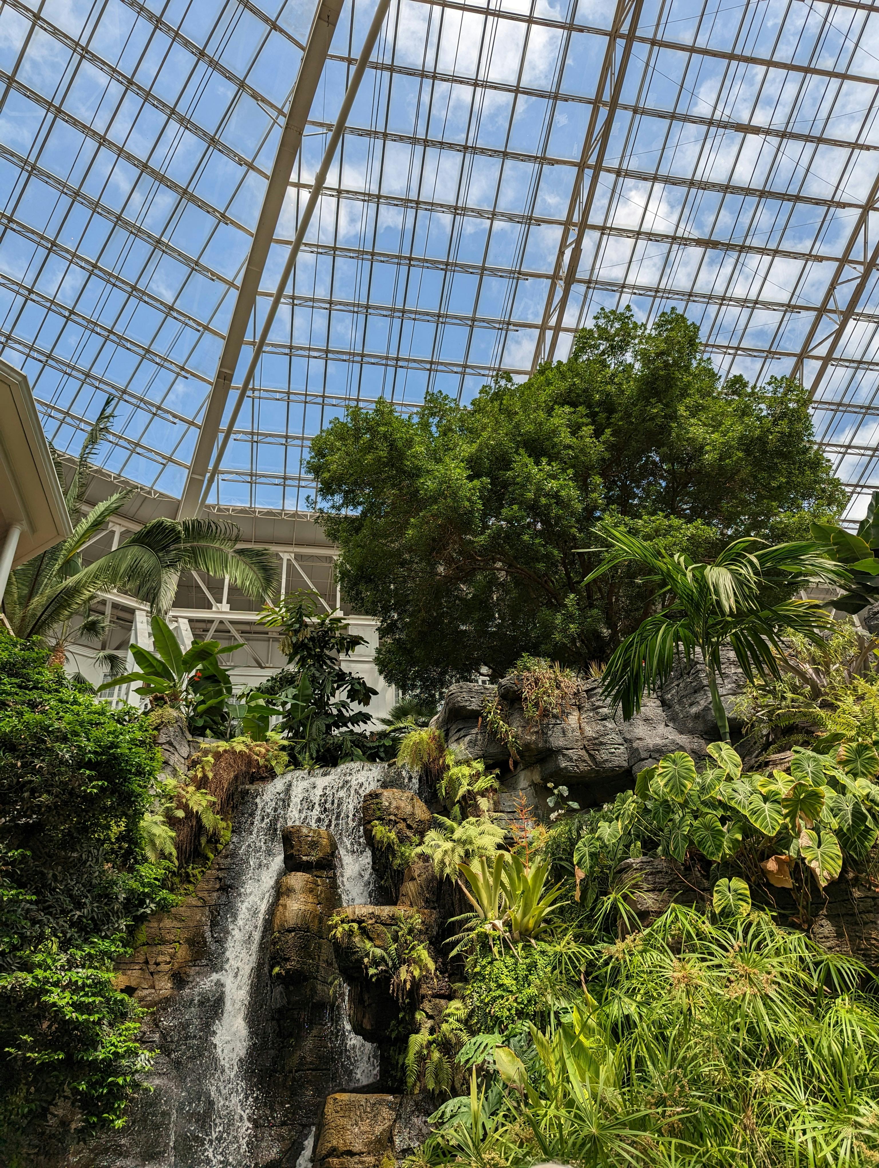 Waterfall among Trees and Plants in Foellinger-freimann Botanical Conservatory in Fort Wayne ...