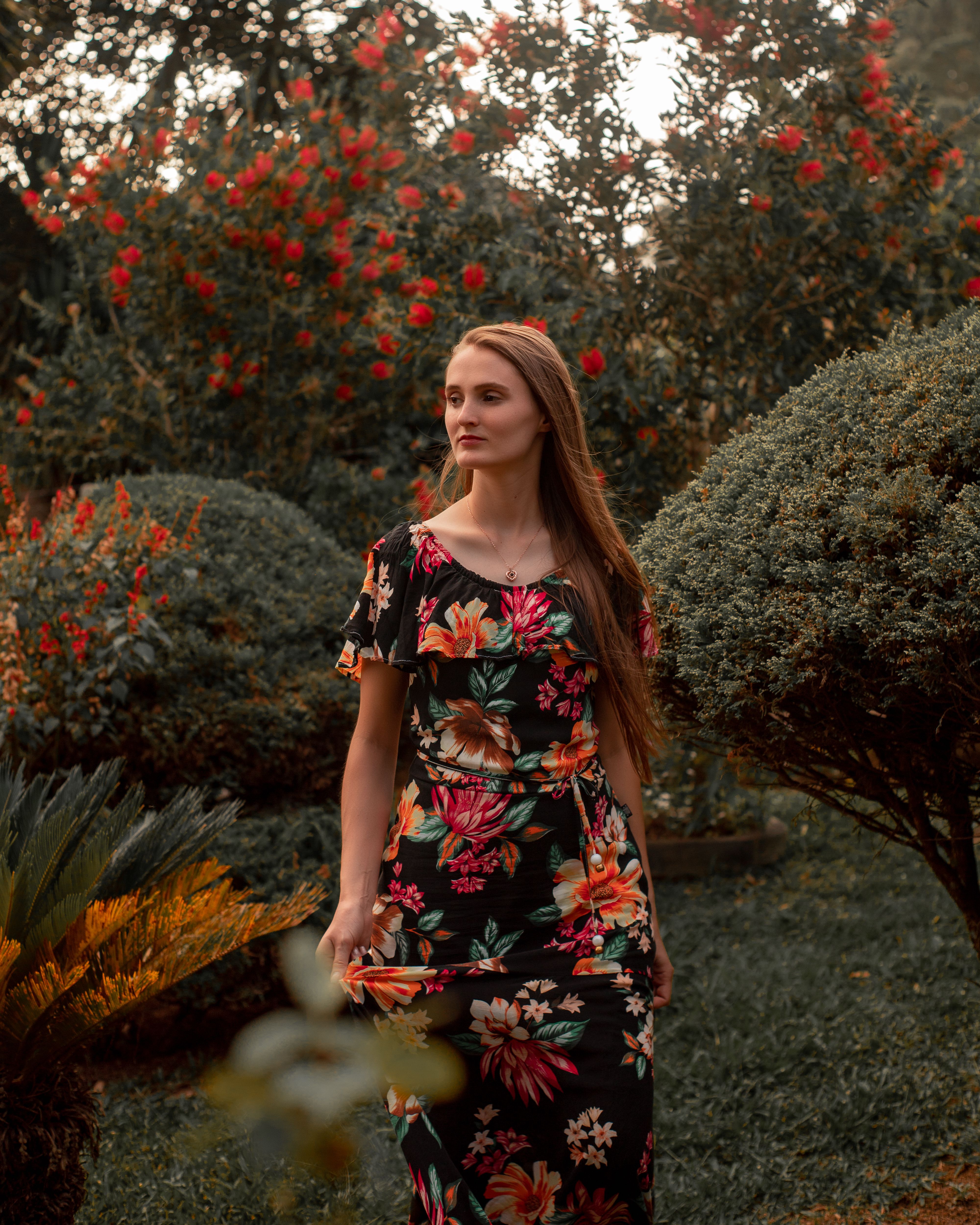 Silhouette of Person in Hat behind Bushes · Free Stock Photo