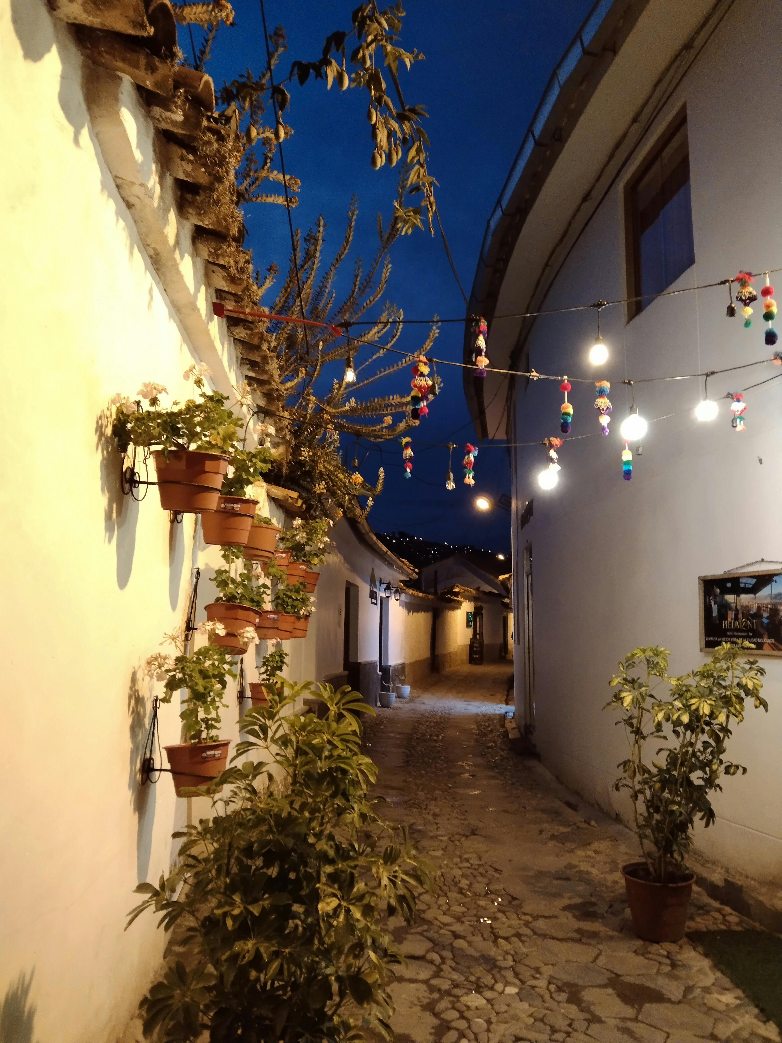 A Narrow Alley with String Lights between Traditional Buildings · Free ...
