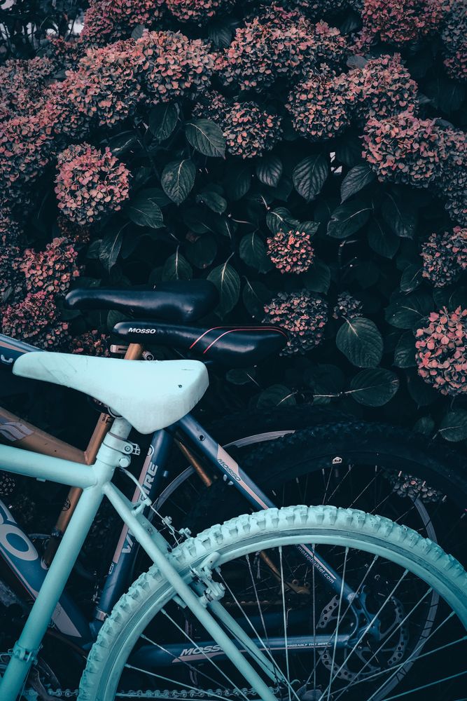 90.937+ Fotos y Imágenes de Fondo de bicicletas Gratis · Banco de Fotos ...