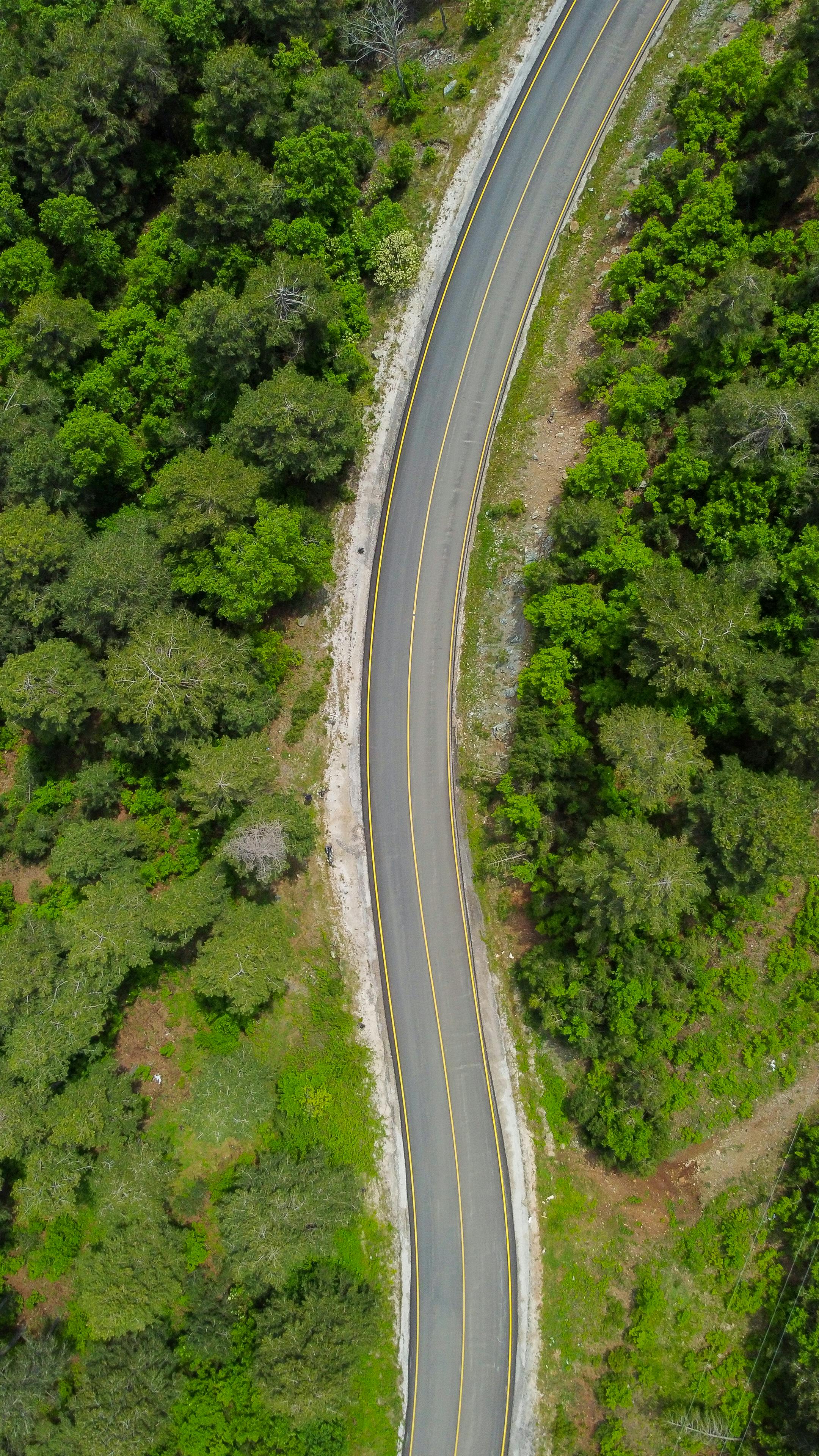 Top View of an Asphalt Road between Trees · Free Stock Photo