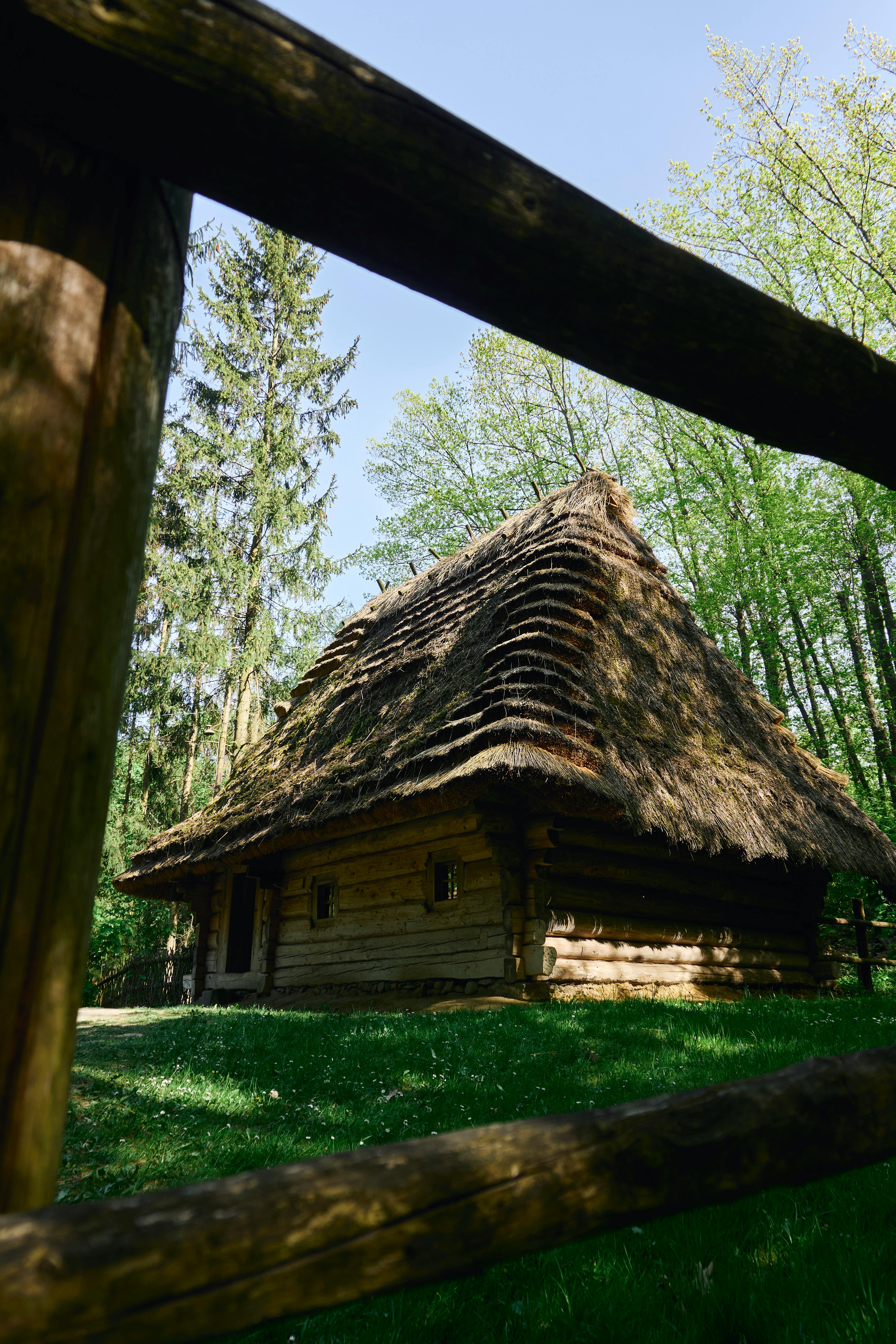 A Wooden Hut in a Forest · Free Stock Photo