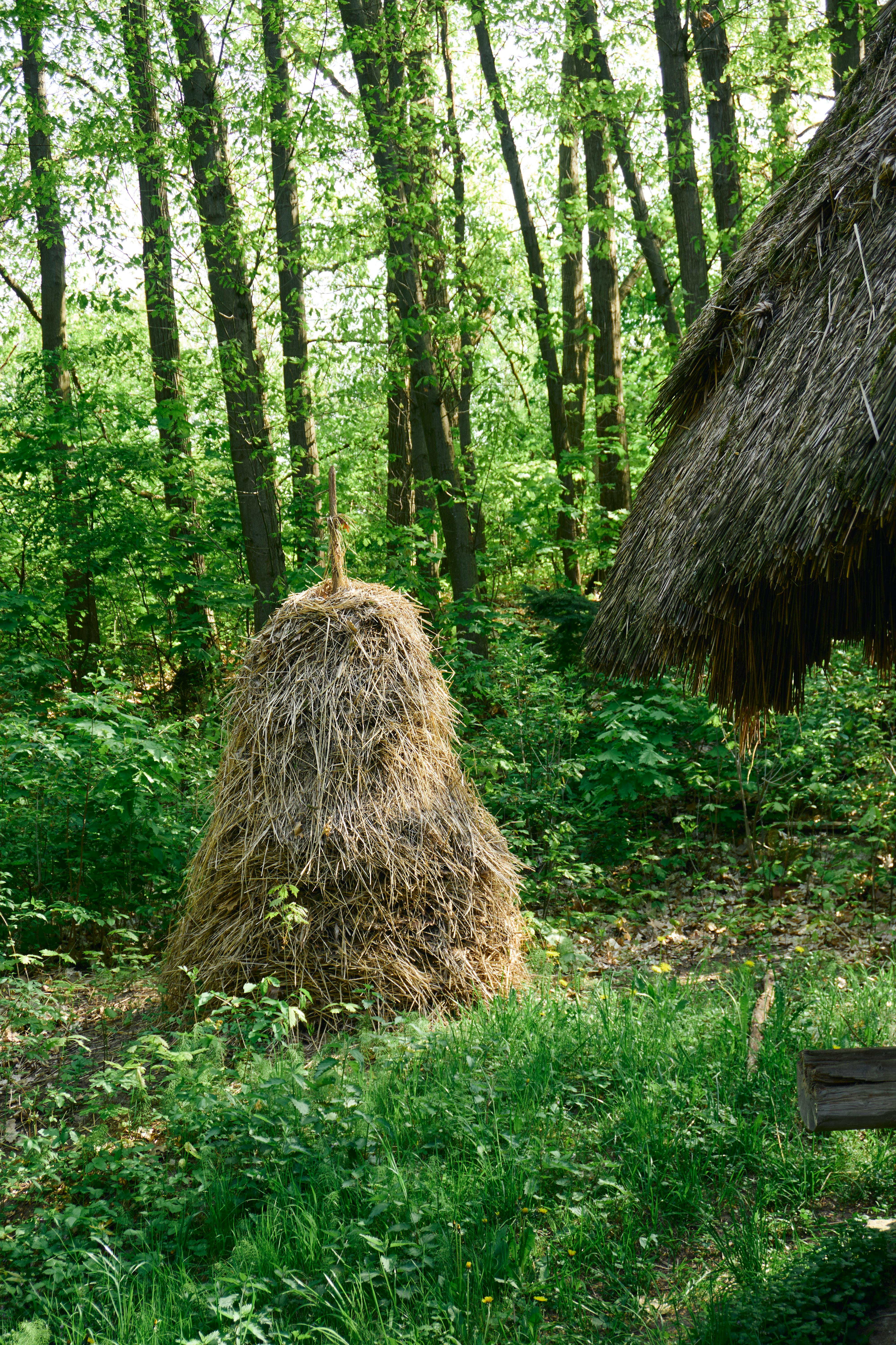 Pile of Hay between Green Trees · Free Stock Photo