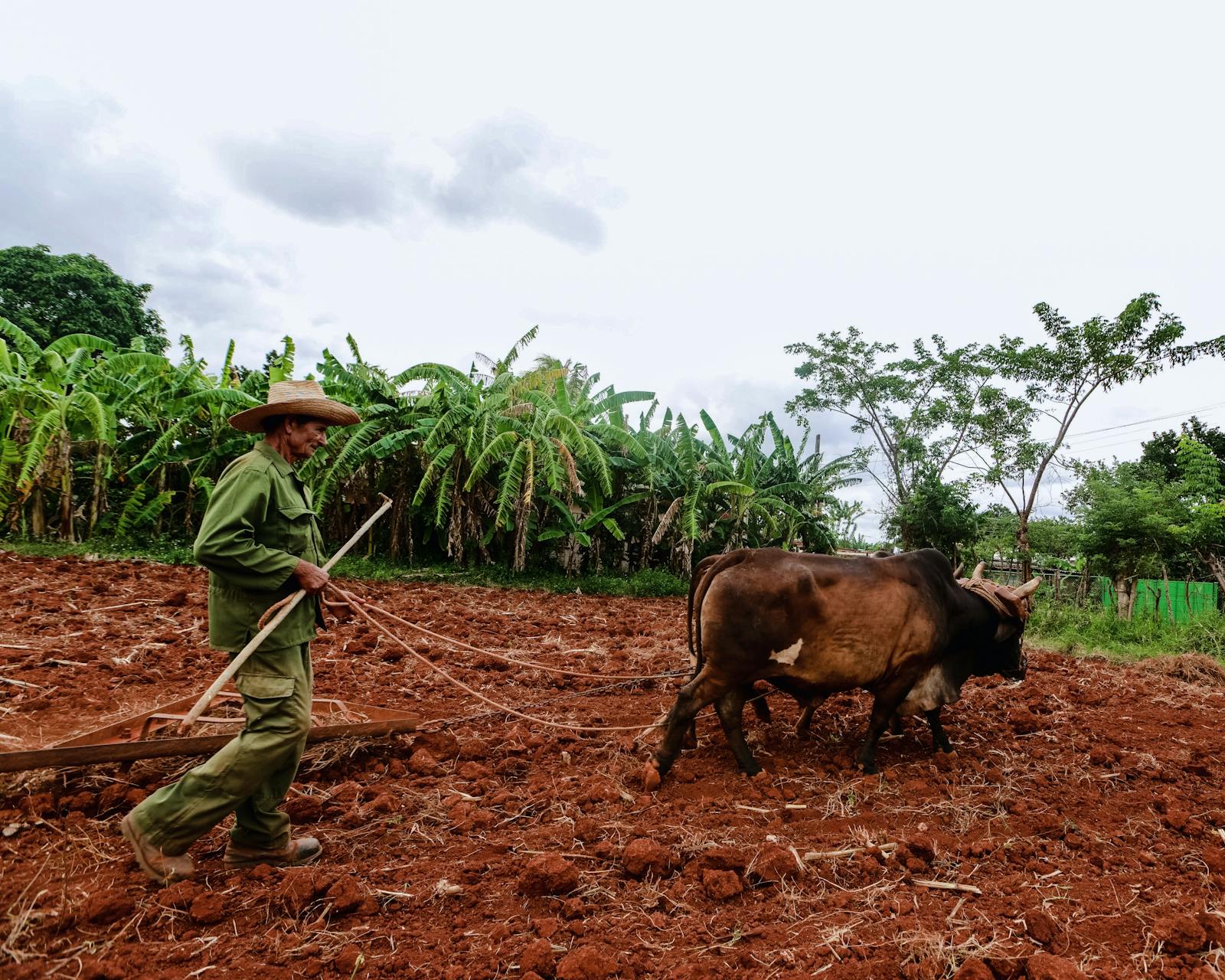 Ploughing Photos, Download The BEST Free Ploughing Stock Photos & HD Images